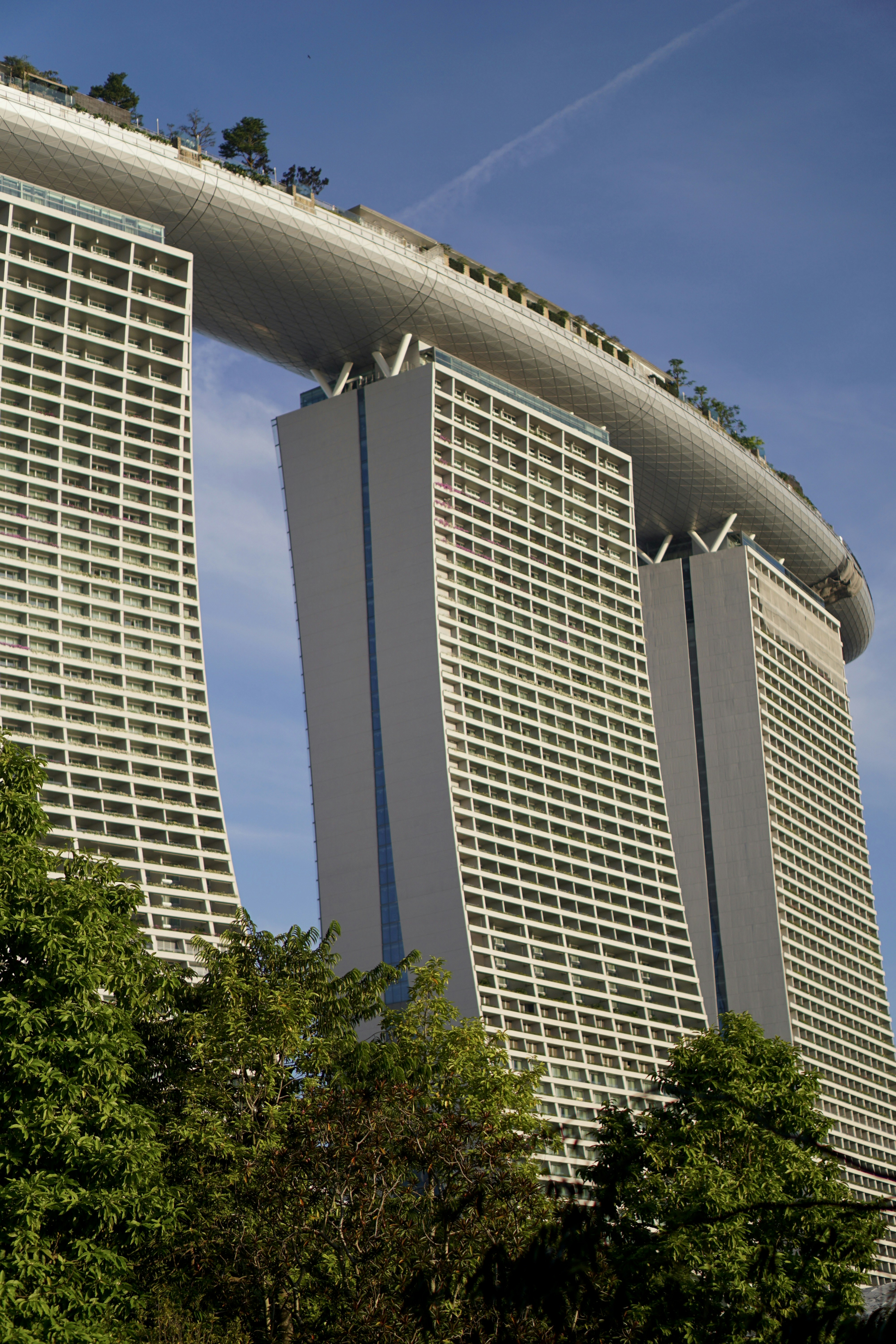 Vertical Elegance: The Futuristic Skyline