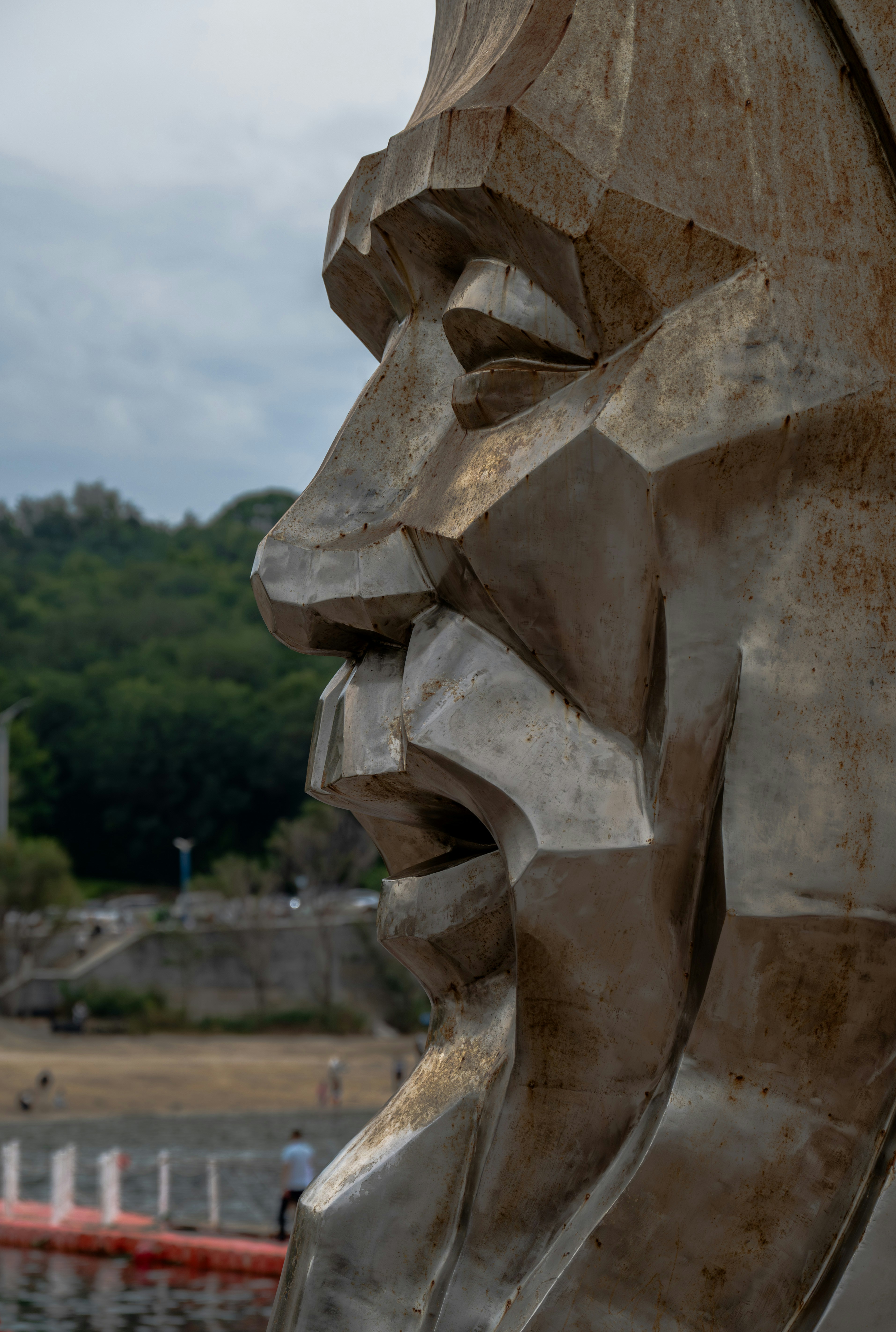 Reflections of Resilience: The Metallic Tribute
