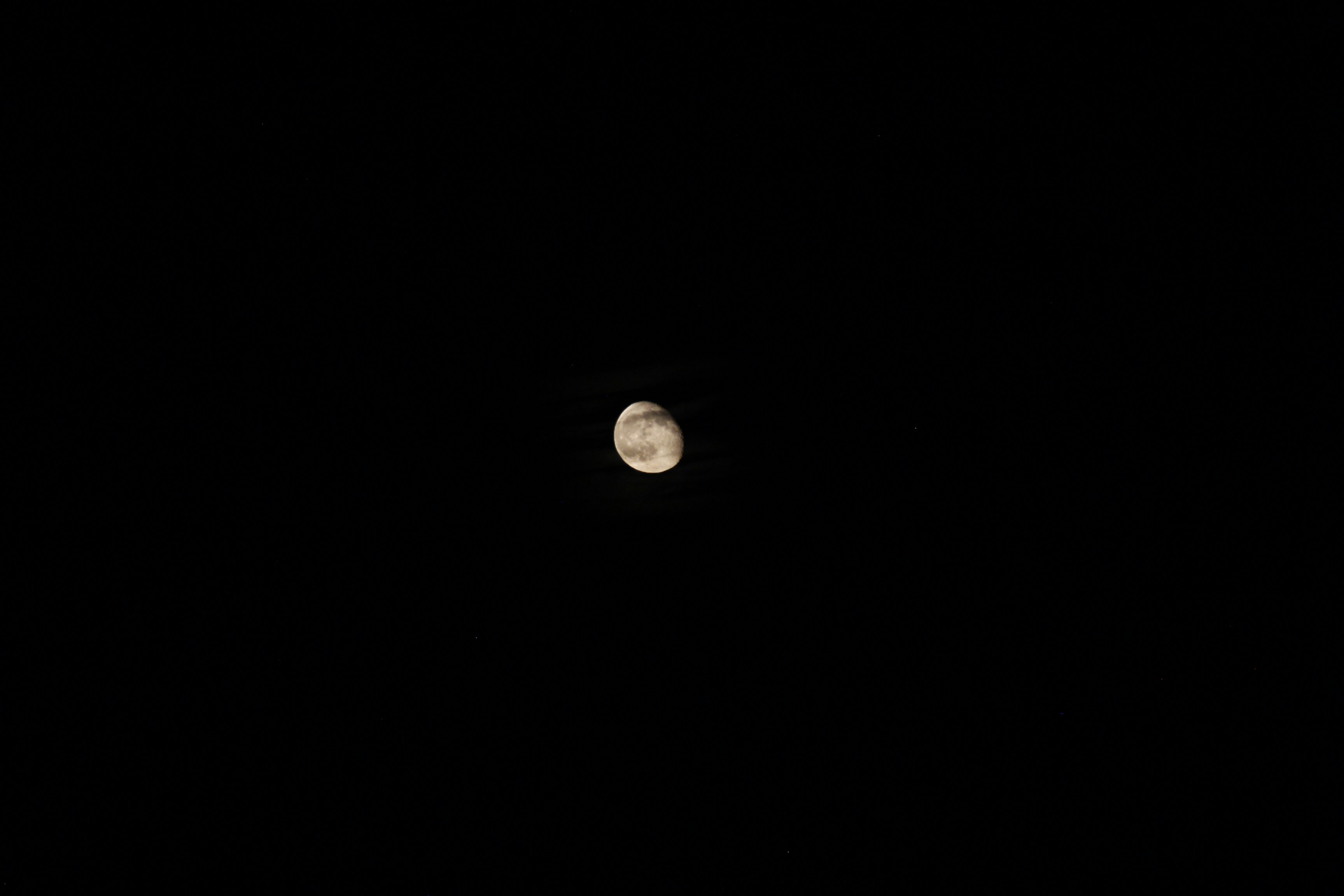 Lunar Embrace: A Celestial Encounter