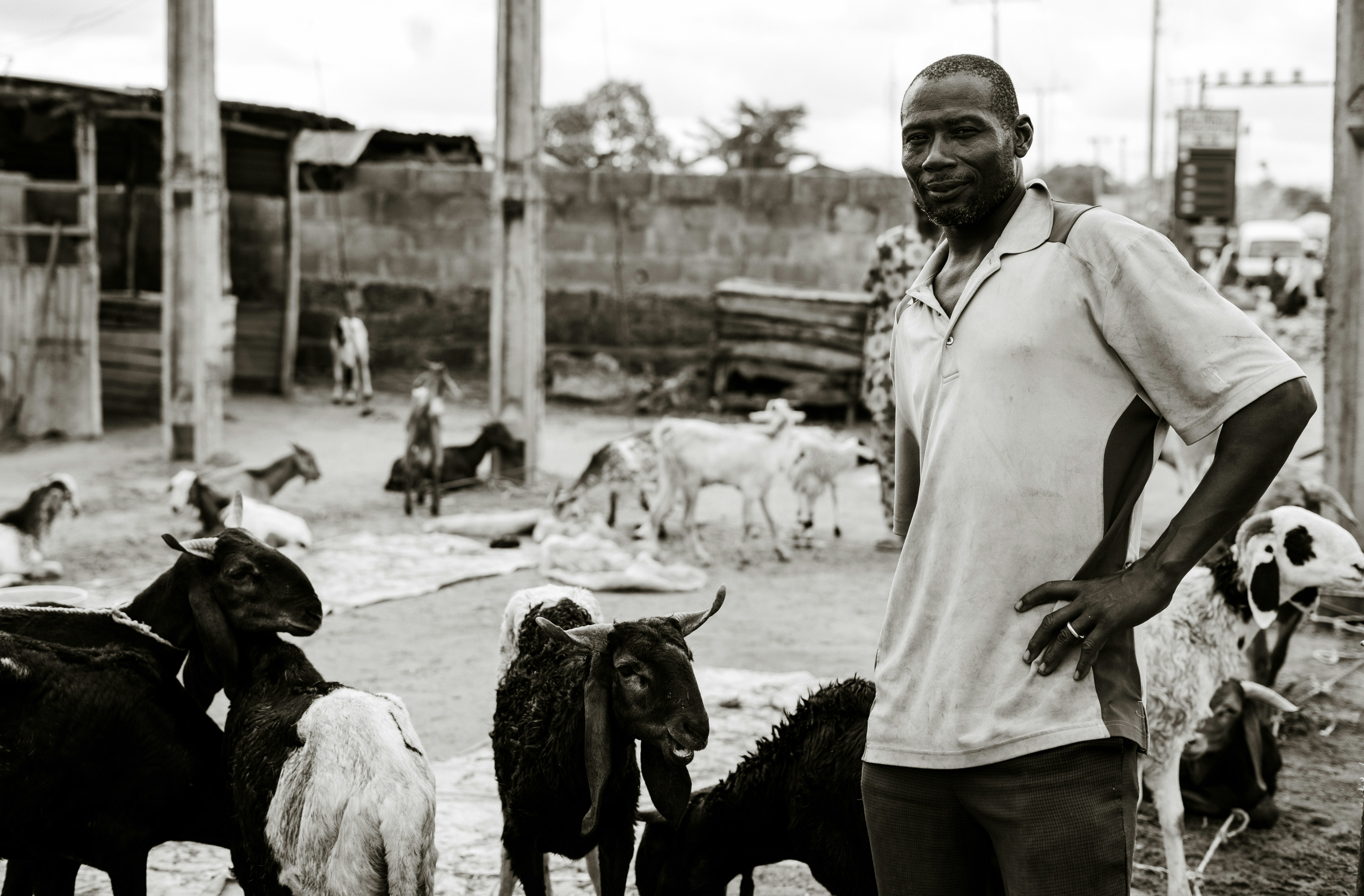 Man standing with goats at an outdoor market