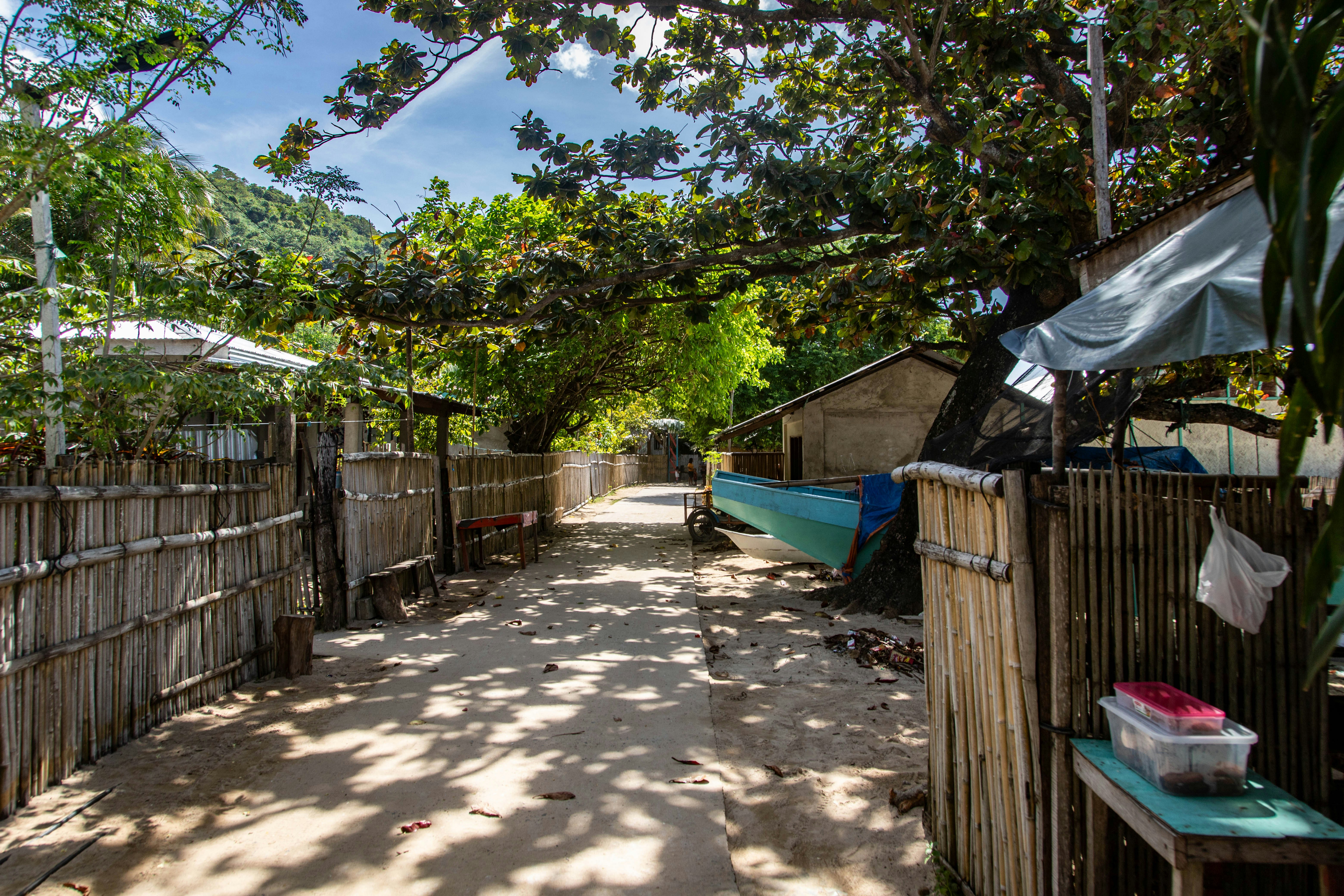A dirt path lined with bamboo fences and trees.Bernd 📷 Dittrich