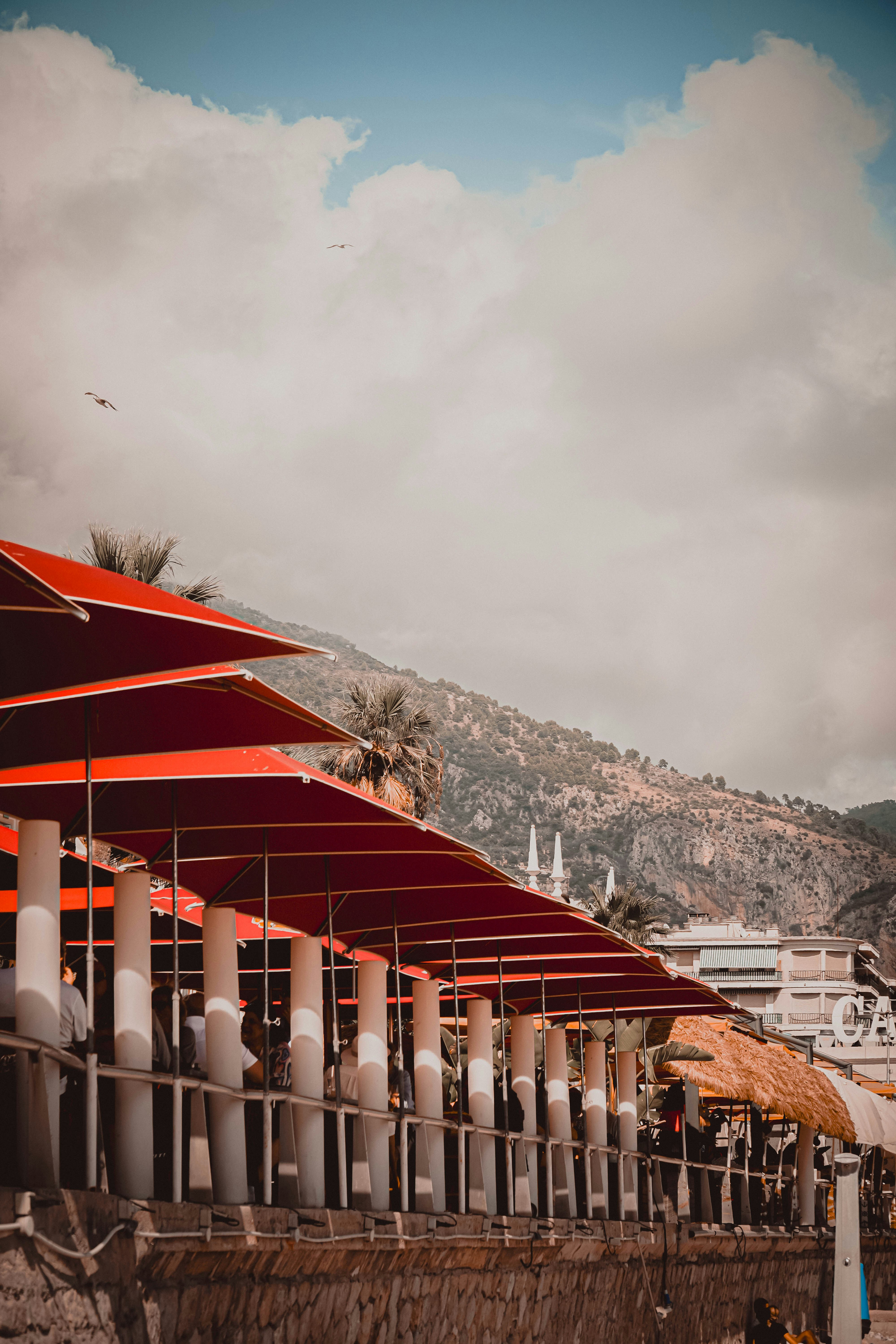 Vibrant Canopies Over Coastal Leisure