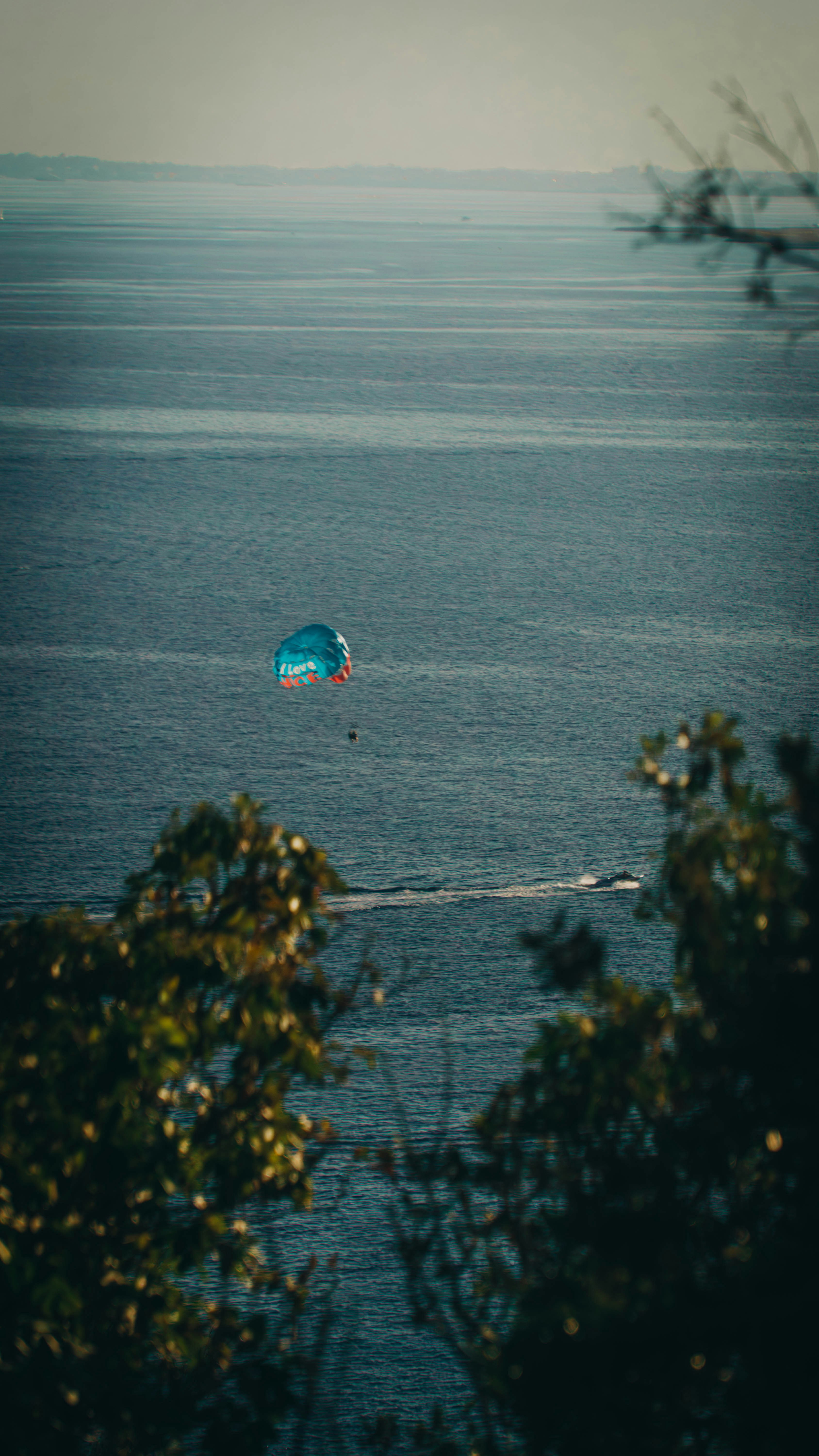 Soaring Above Tranquil Waters