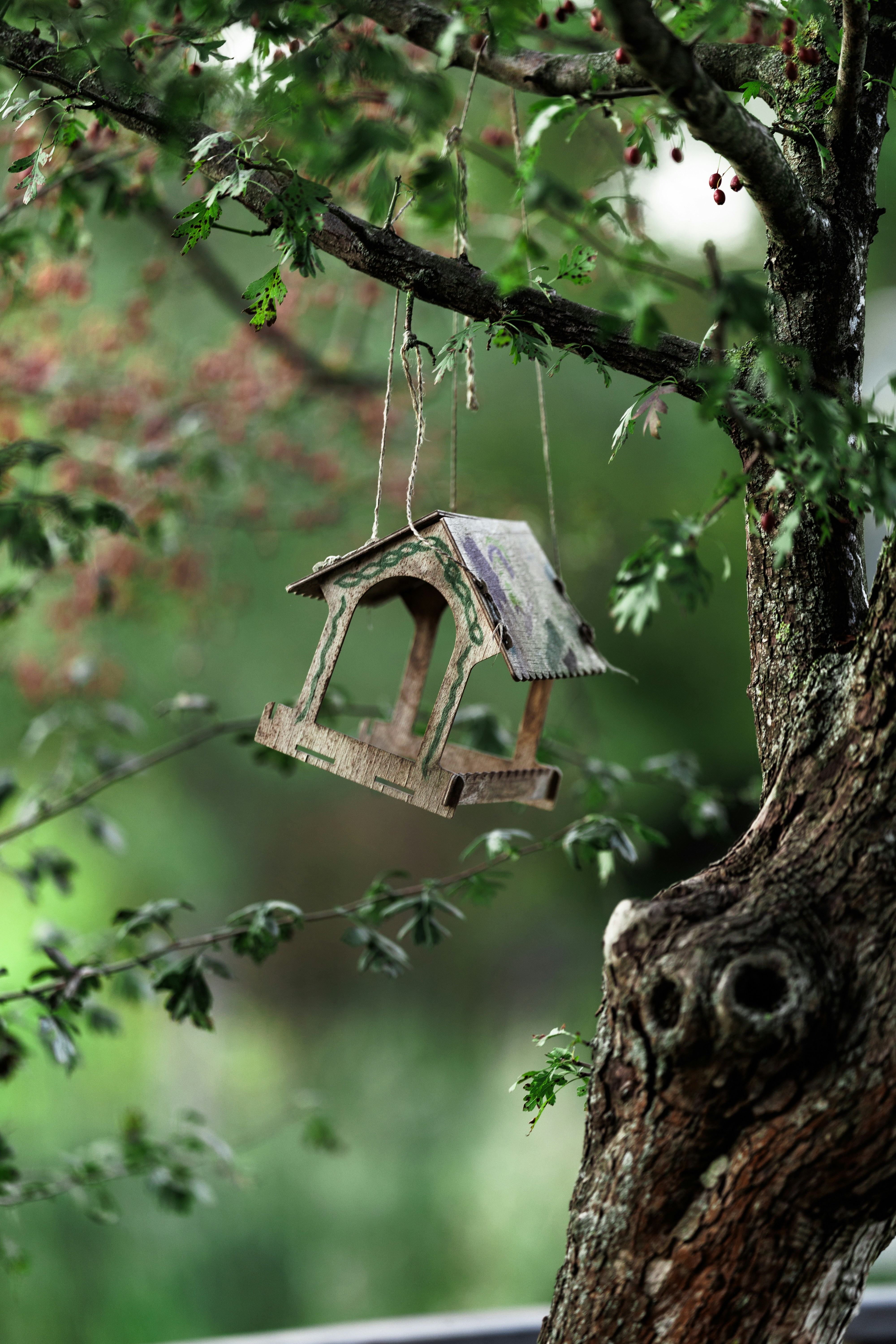Whimsical Haven: A Birdhouse in Nature's Embrace