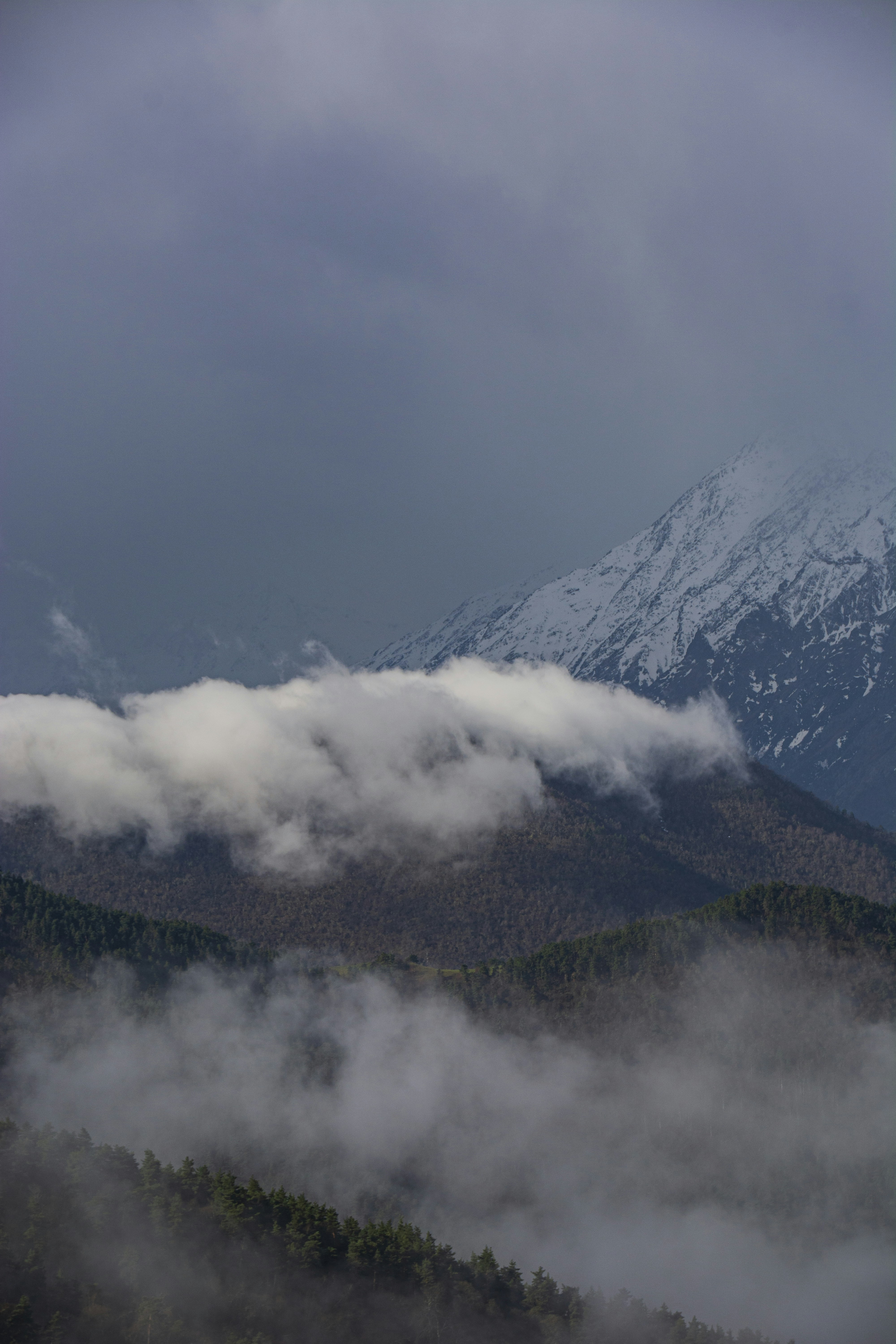 Whispers of the Mountain Veil