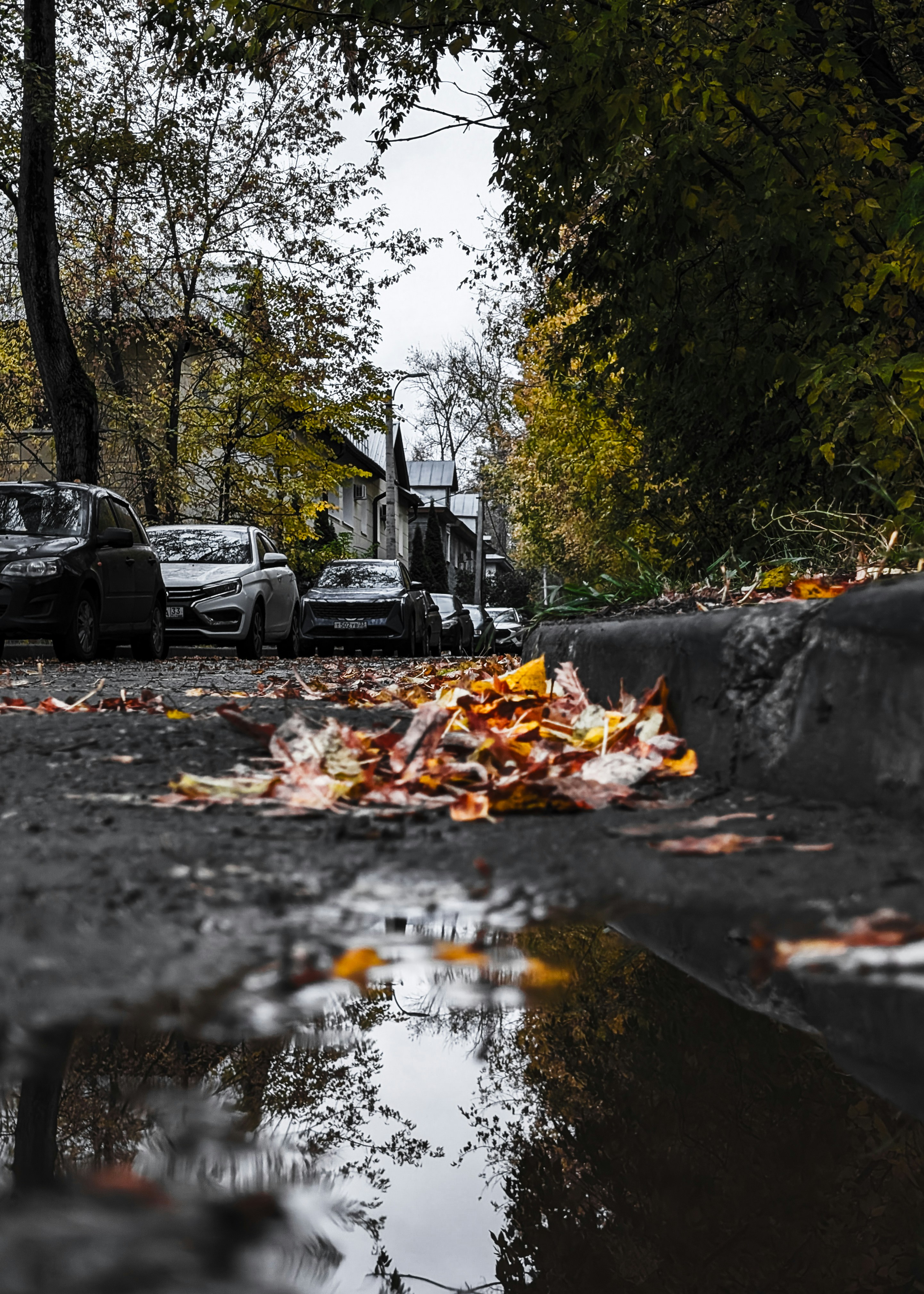 Autumn's Reflection in the Urban Landscape