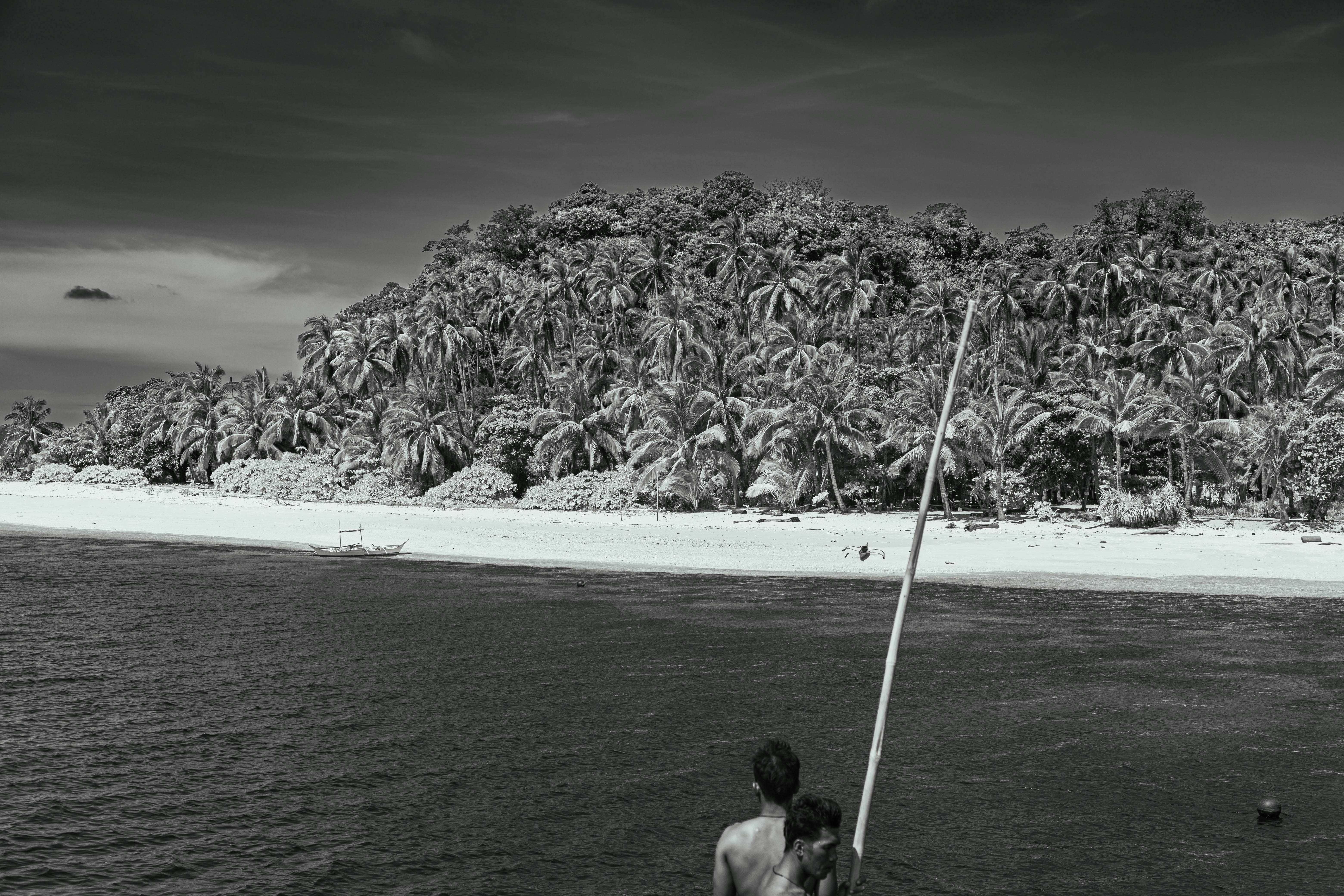 Monochrome Palms and a Lone Pole on a Quiet Tropical Shore