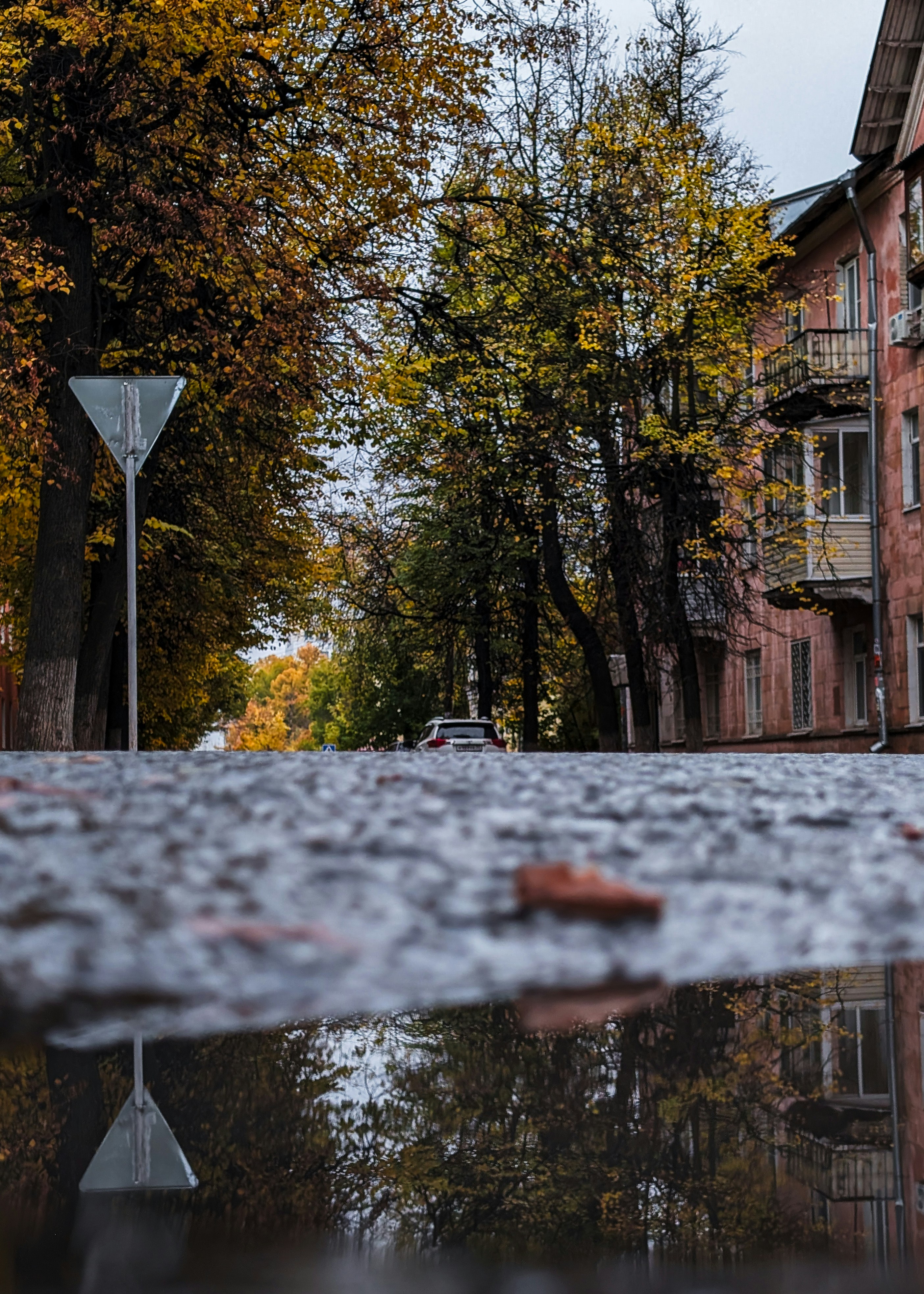 Reflections of Autumn: A Street's Quiet Contemplation