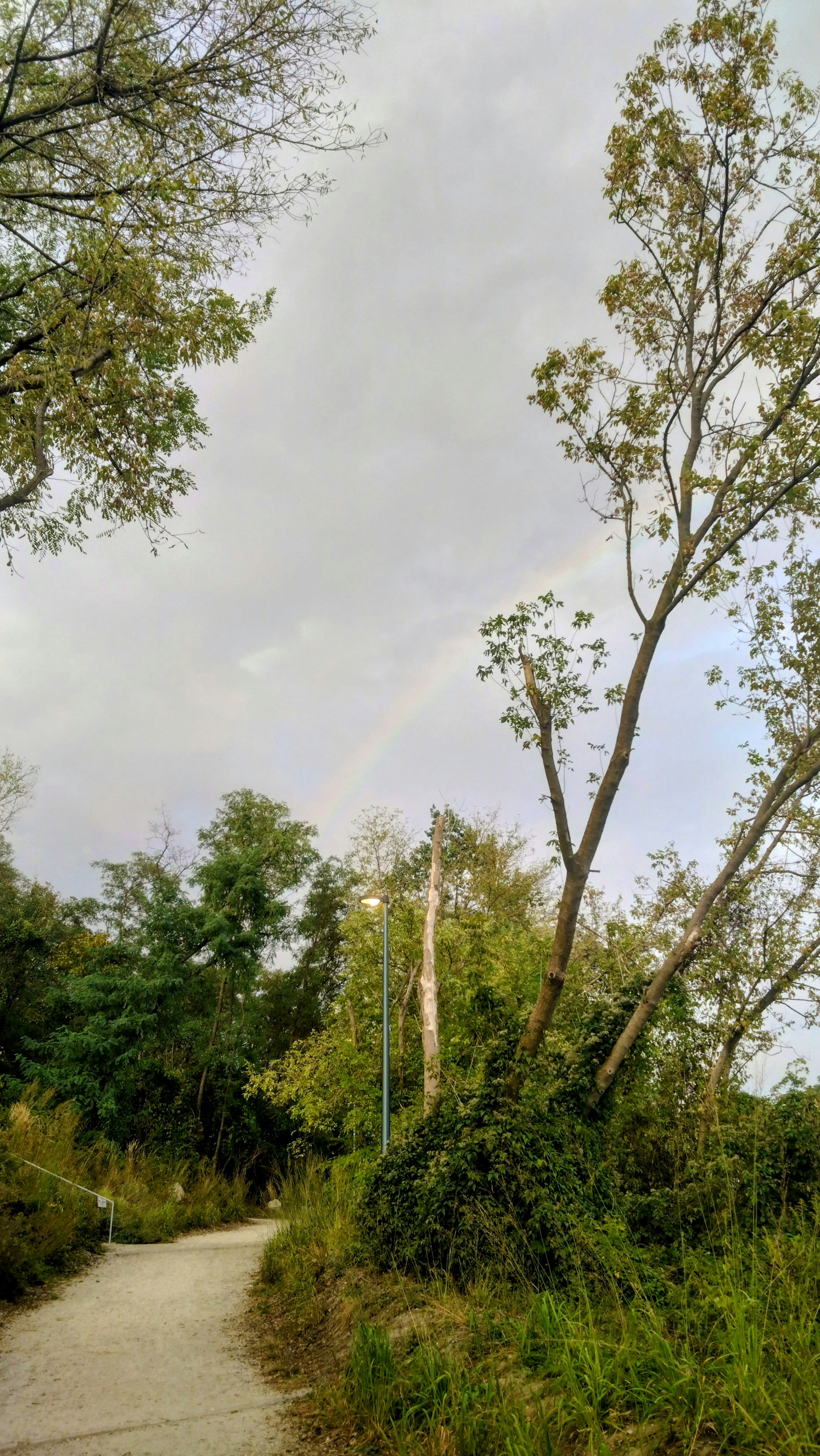 A dirt path leads through trees with a faint rainbow.