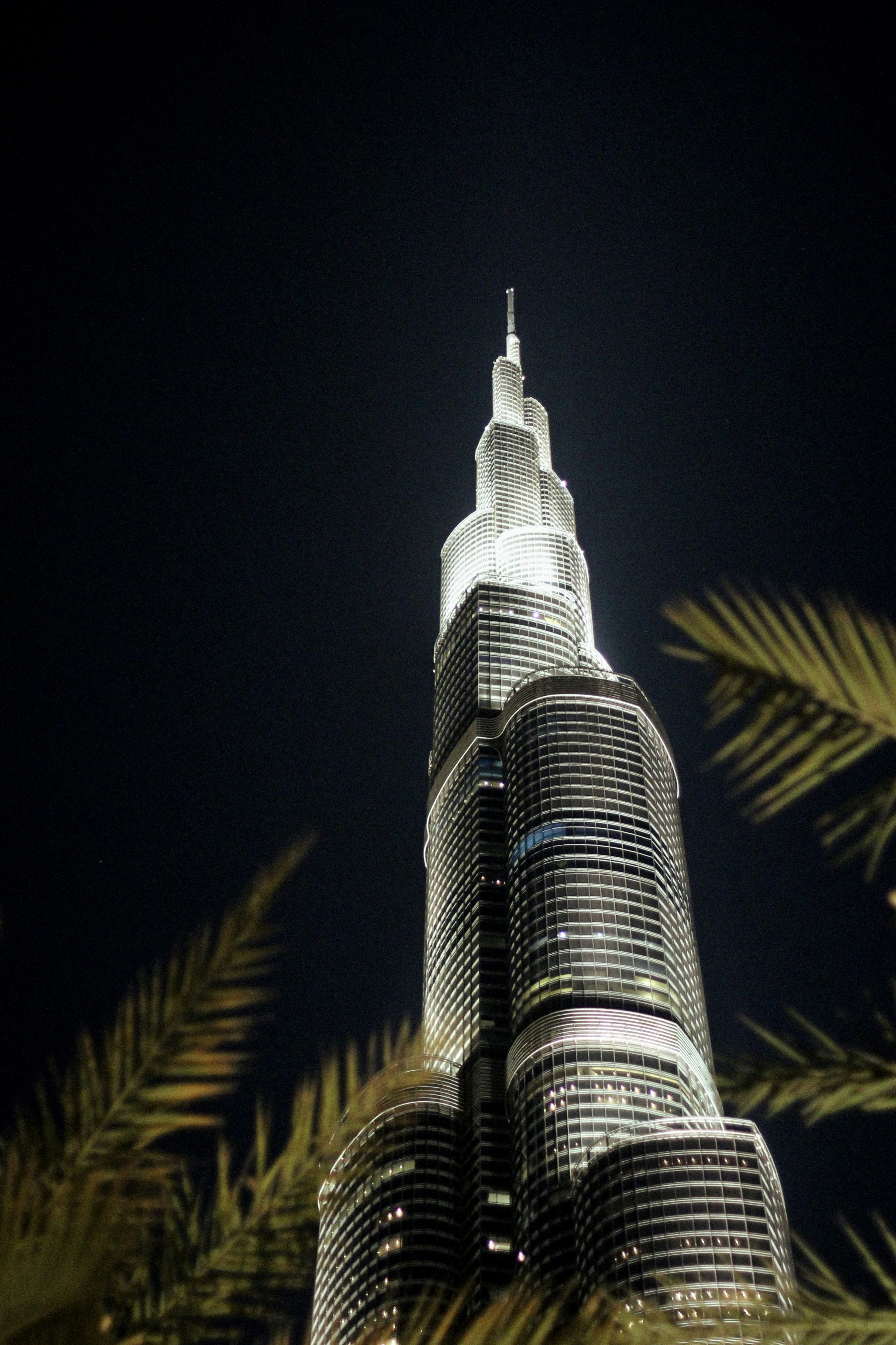 Burj Khalifa pierces the night sky, illuminated with striking architectural lighting, framed by palm fronds in the foreground.