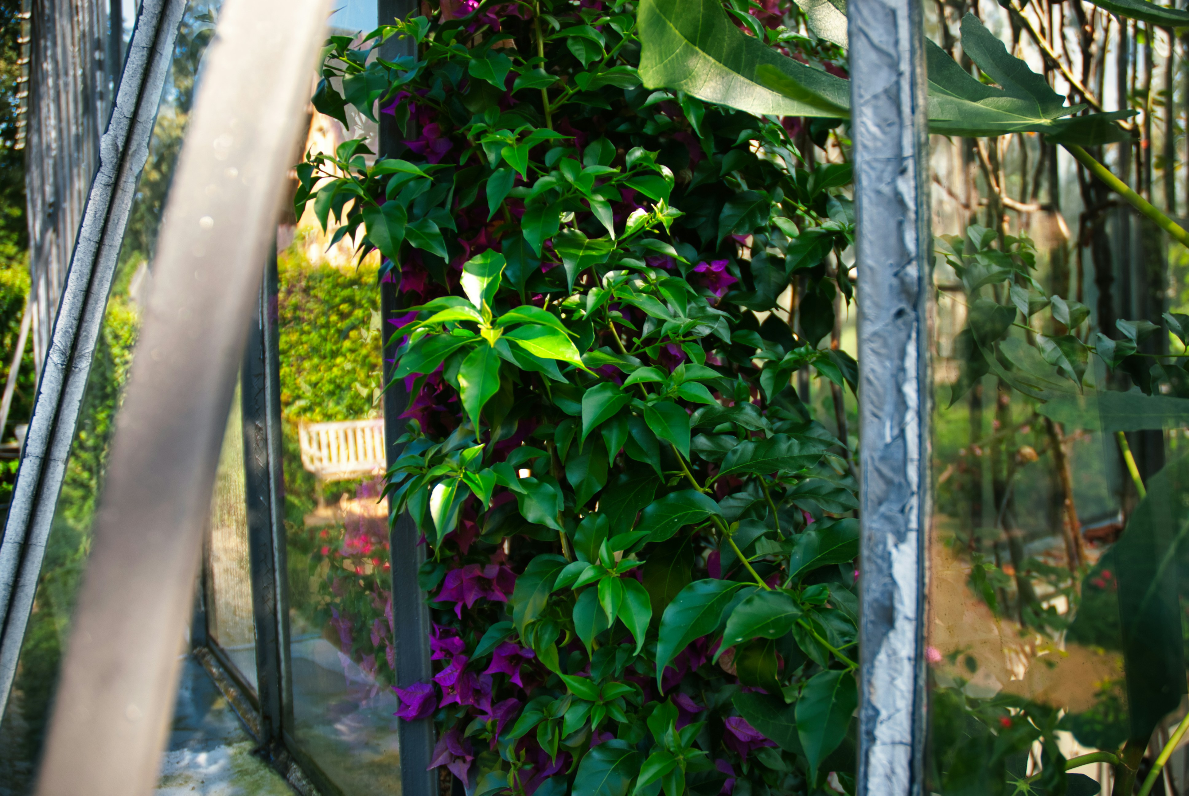 Nature's Tapestry: A Lush Embrace