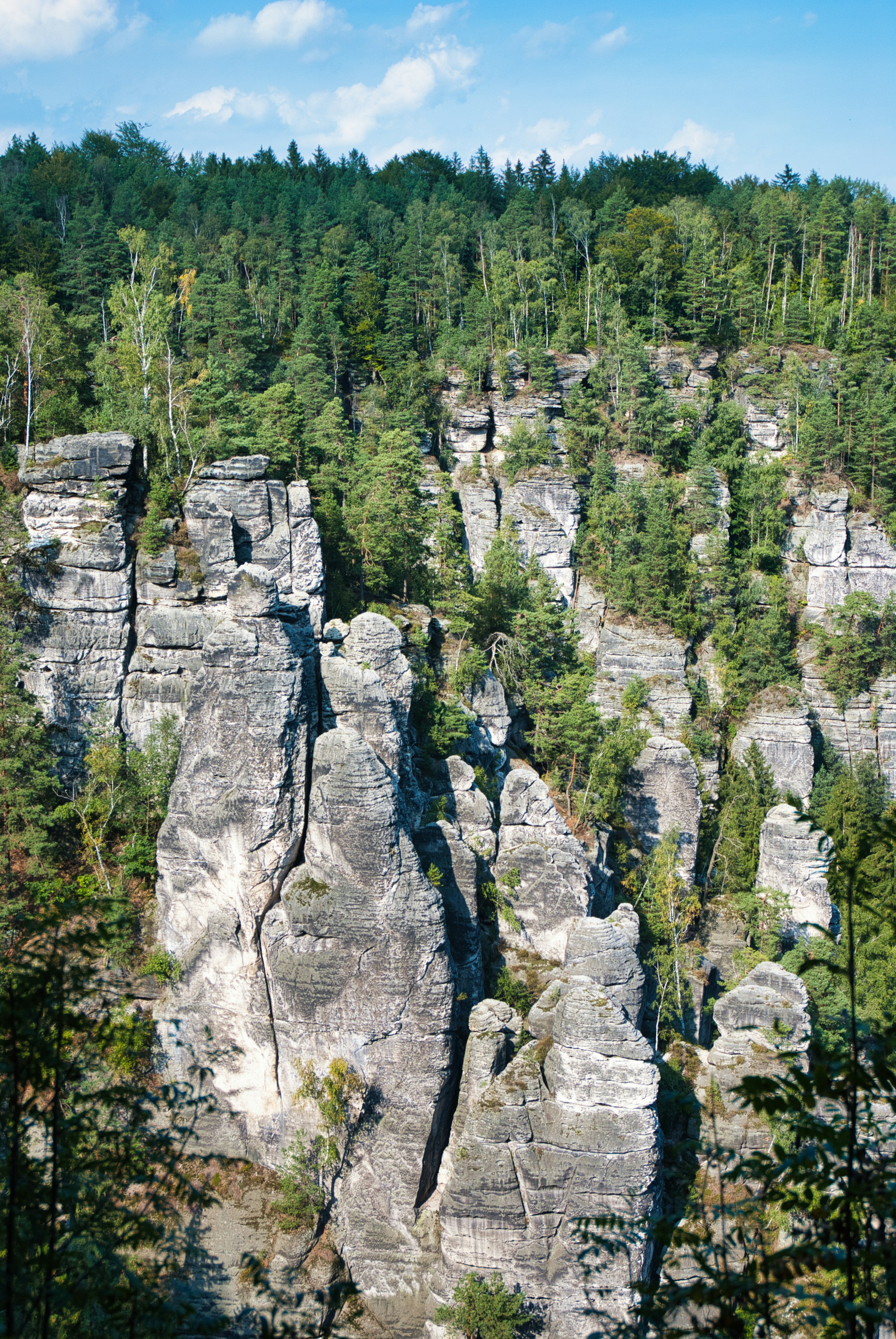 Sentinels of Stone: Nature's Sculpted Towers
