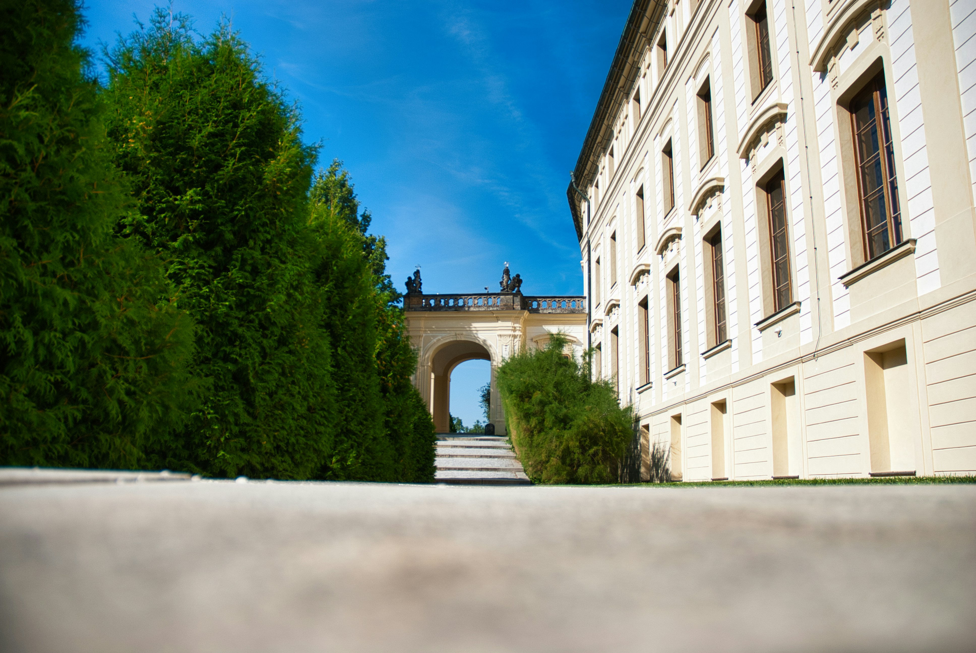 Lush greenery flanks a wide stone pathway leading to an elegant archway, framed by a classic building. Sunlight enhances the serene atmosphere.