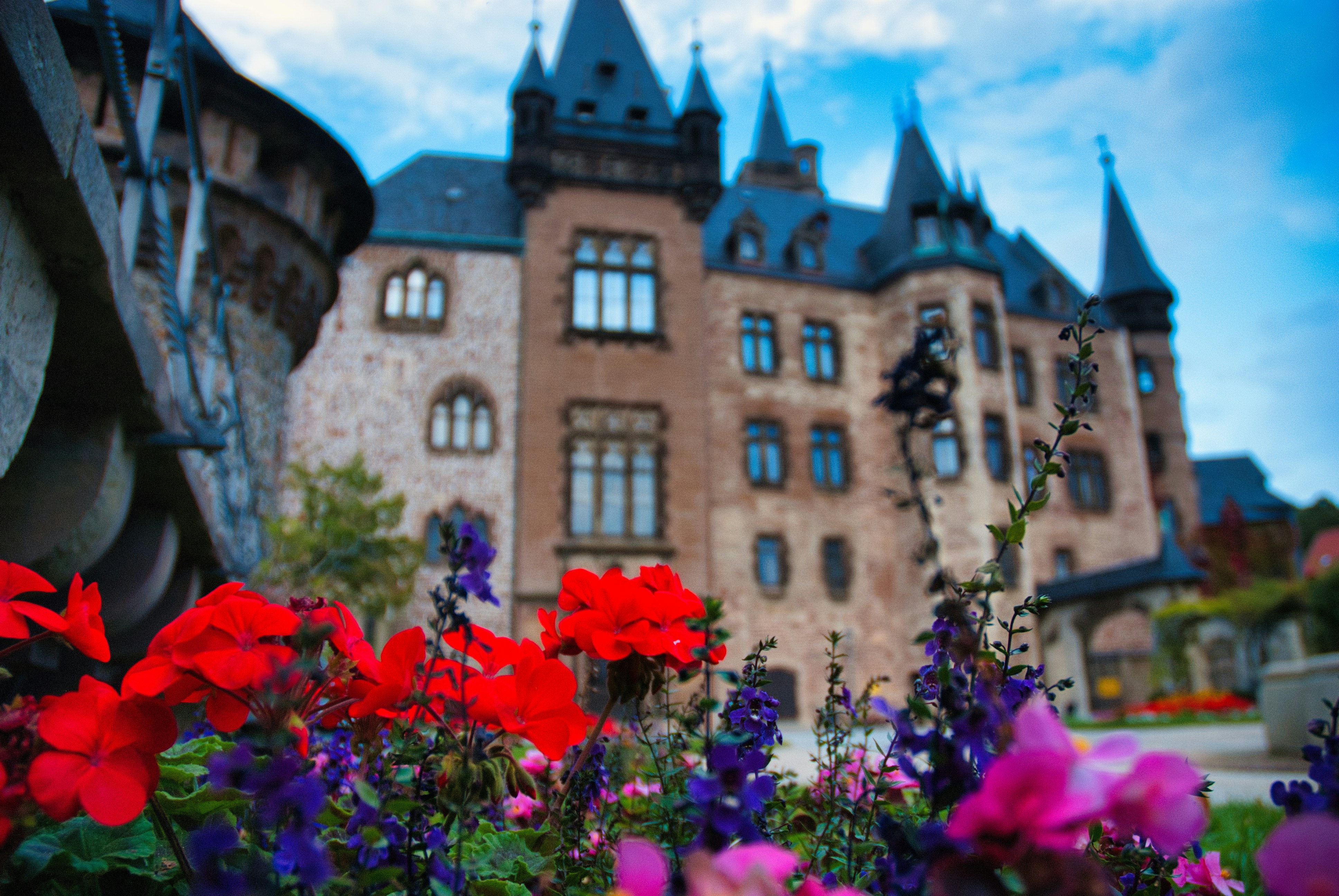 Photo by 𝕡𝕒𝕨𝕤 𝕒𝕟𝕕 𝕡𝕣𝕚𝕟𝕥𝕤 with Nikon D80