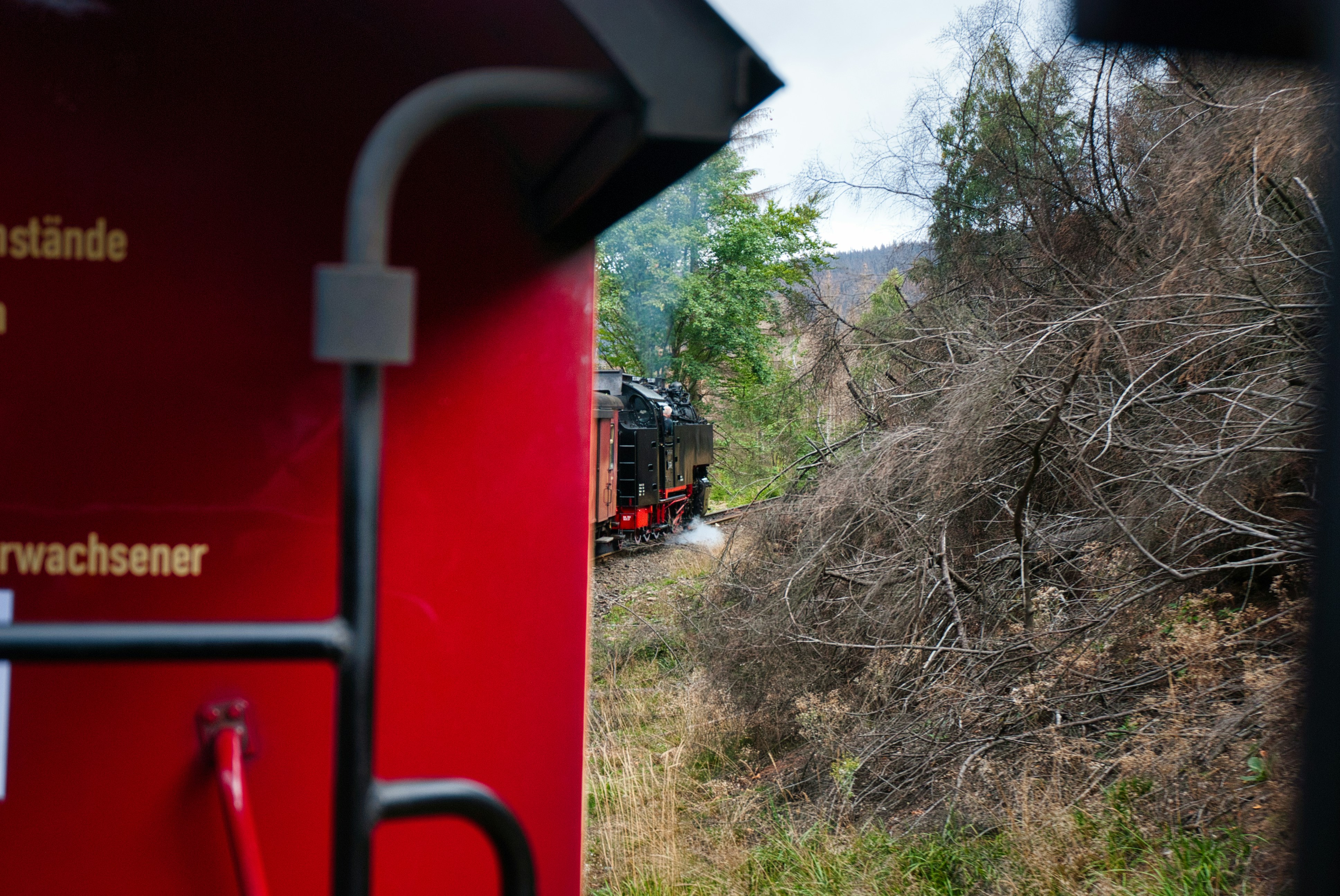 Photo by 𝕡𝕒𝕨𝕤 𝕒𝕟𝕕 𝕡𝕣𝕚𝕟𝕥𝕤 with Nikon D80