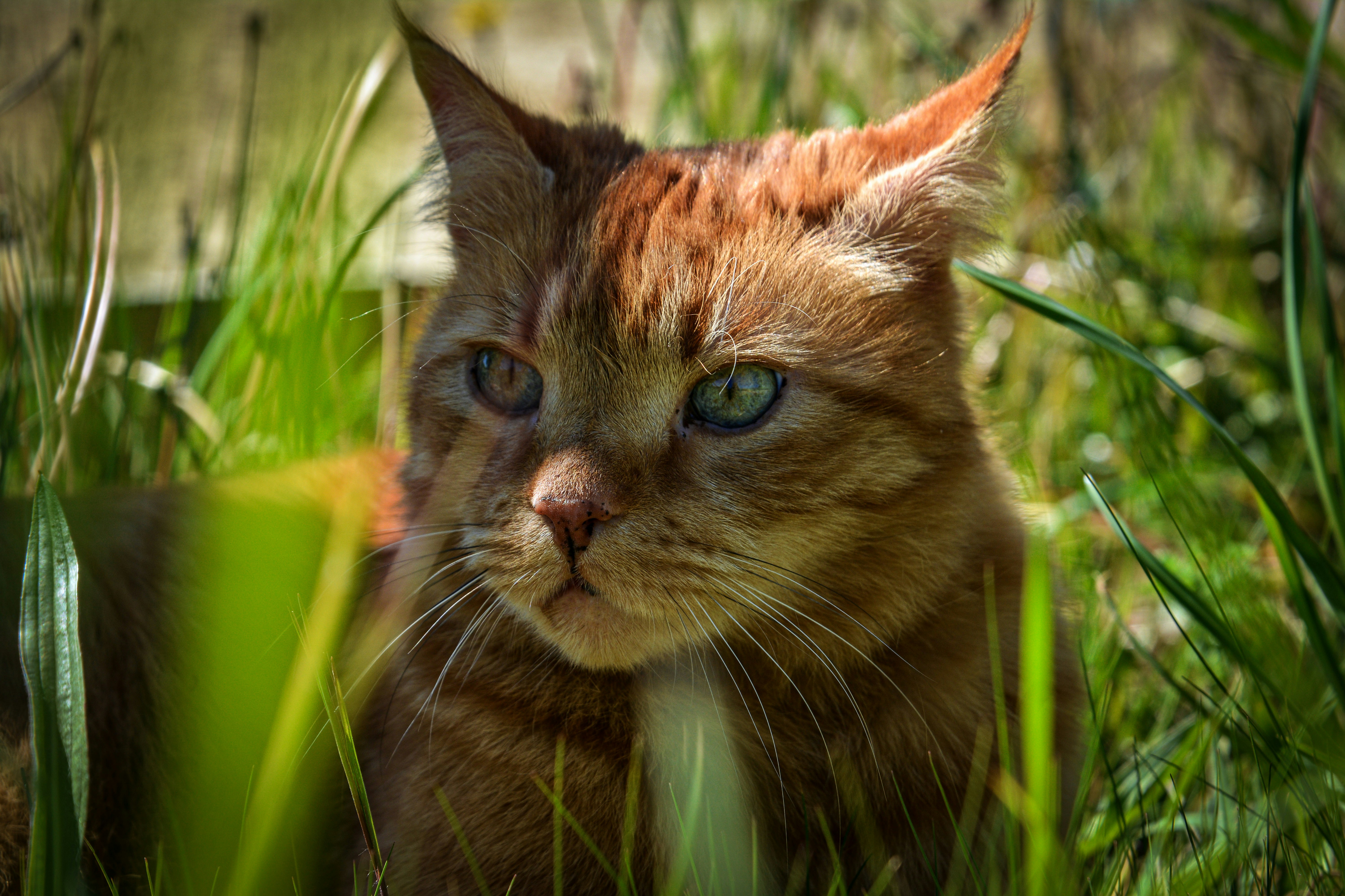 Pauli Nie (@paulify) | Unsplash Photo Community