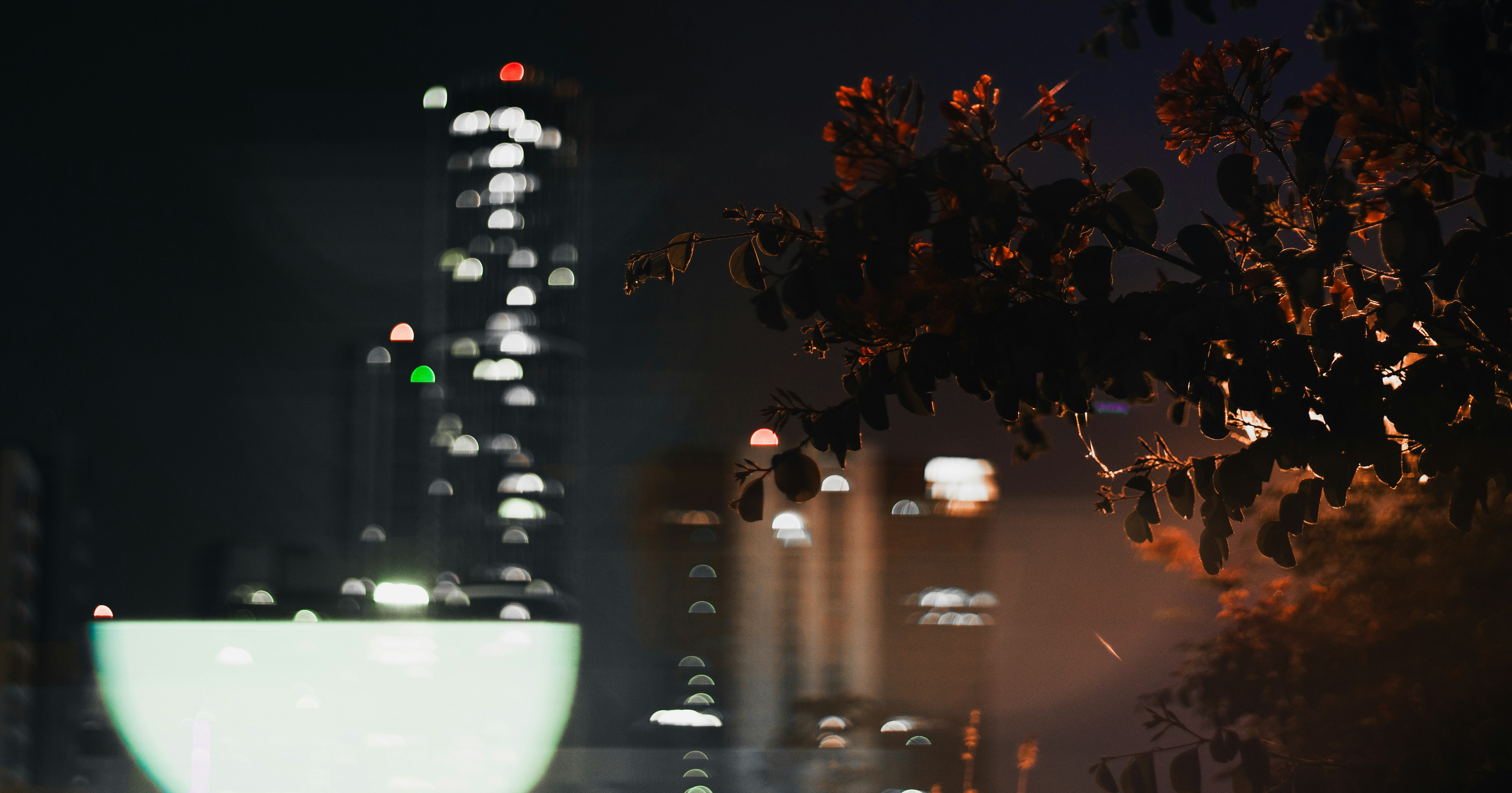 Silhouetted foliage frames a blurred city skyline illuminated by vibrant lights at night.