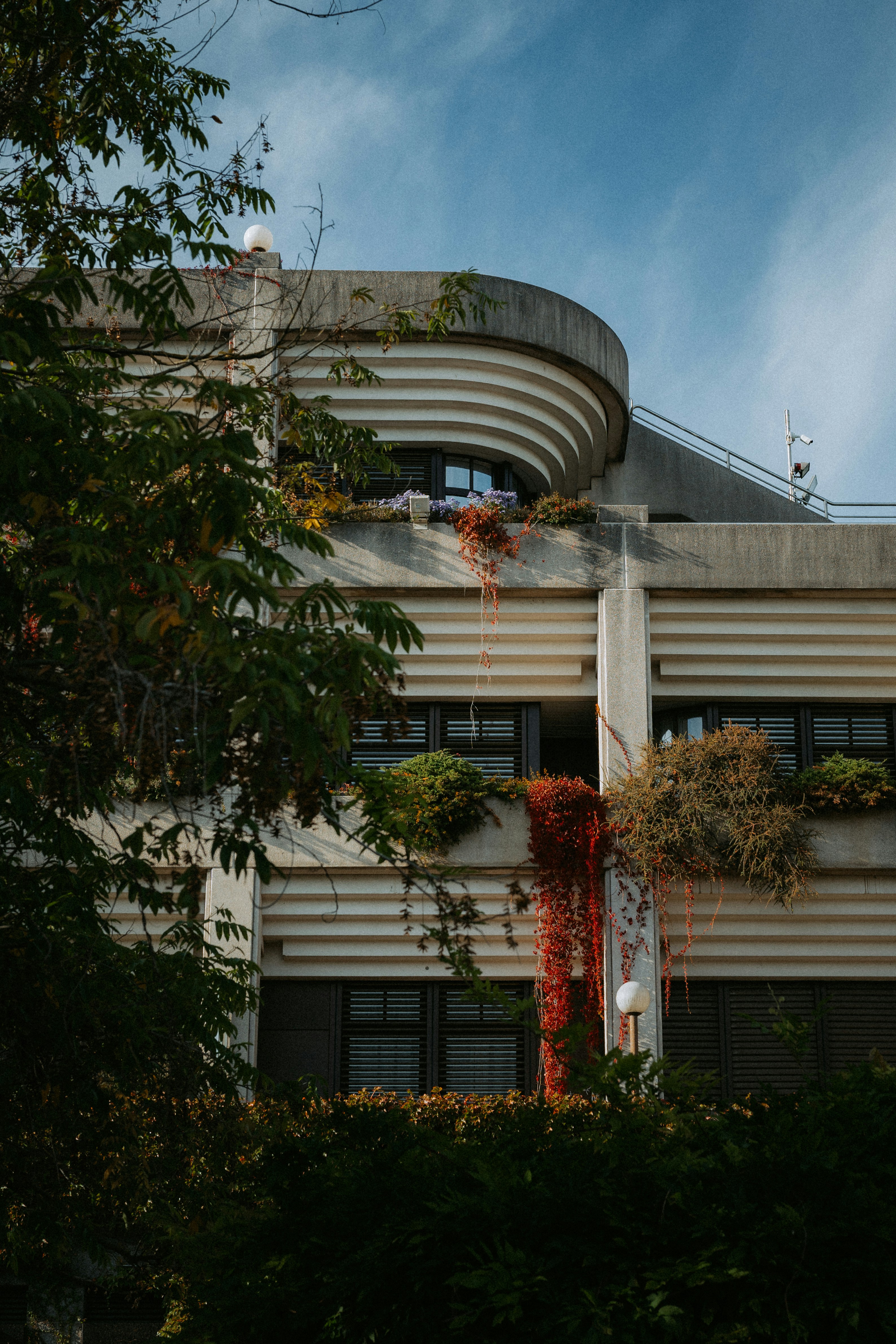 Urban Oasis: Nature's Embrace on Modern Architecture