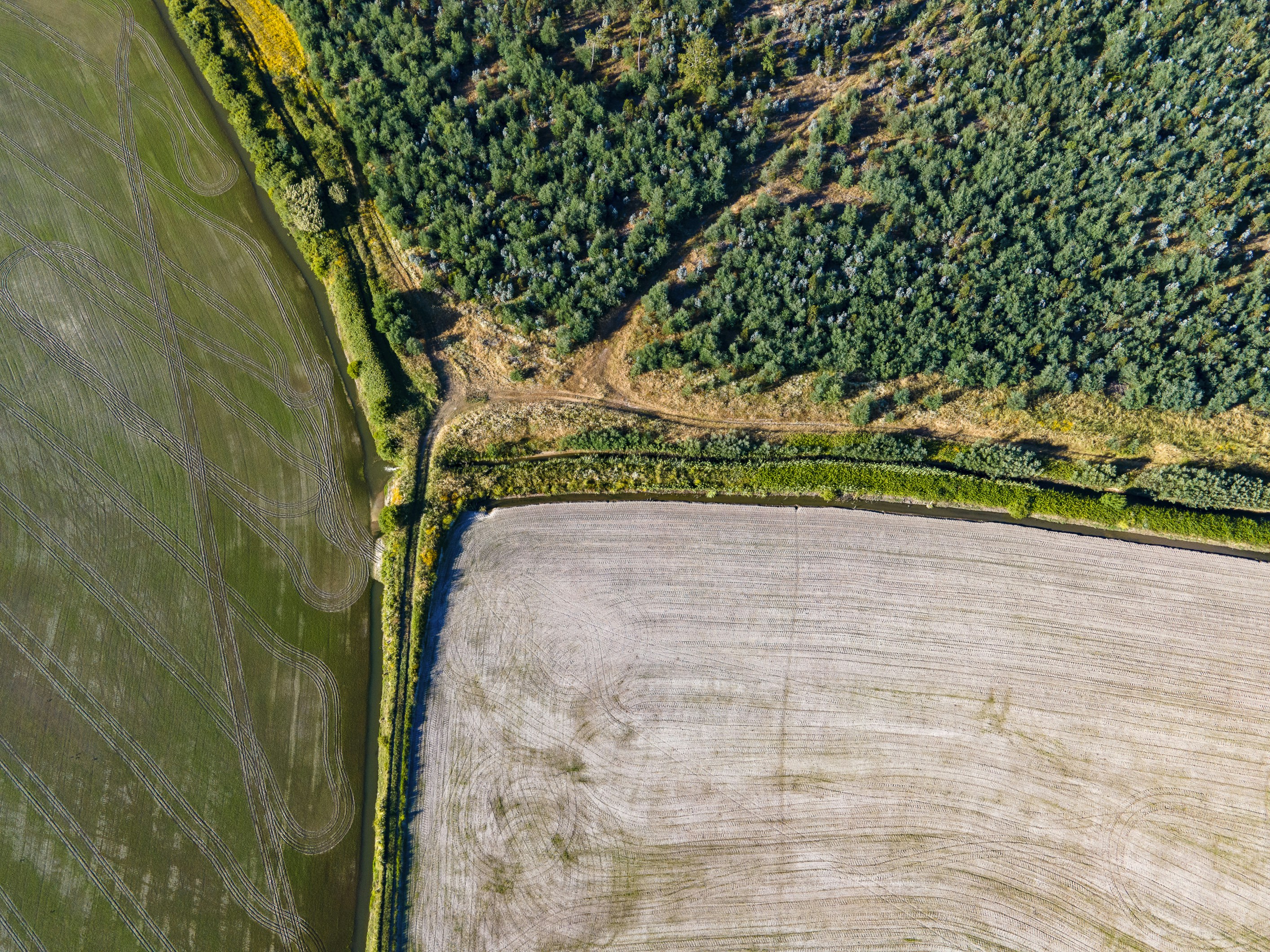 The Convergence of Nature and Agriculture
