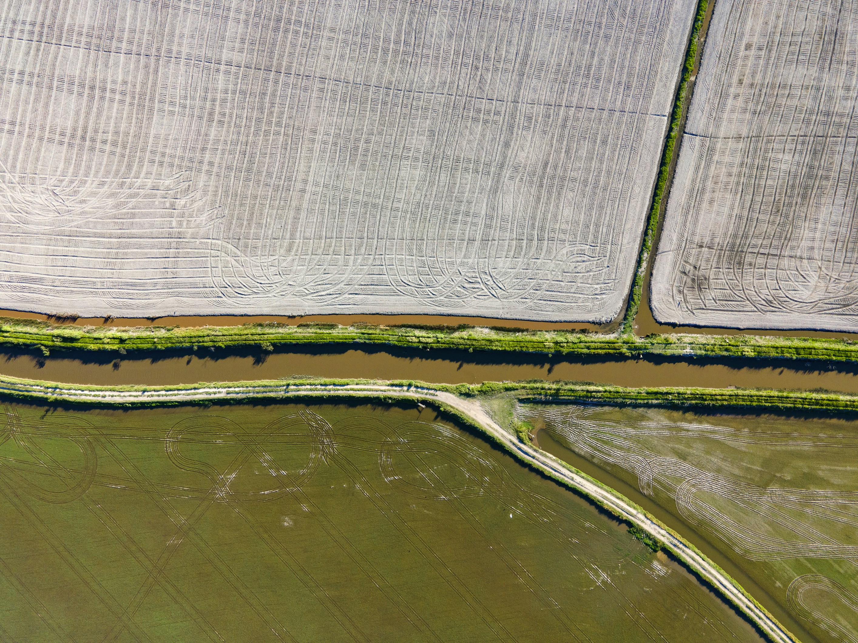 Symphony of Lines: Aerial Harmony in Agriculture