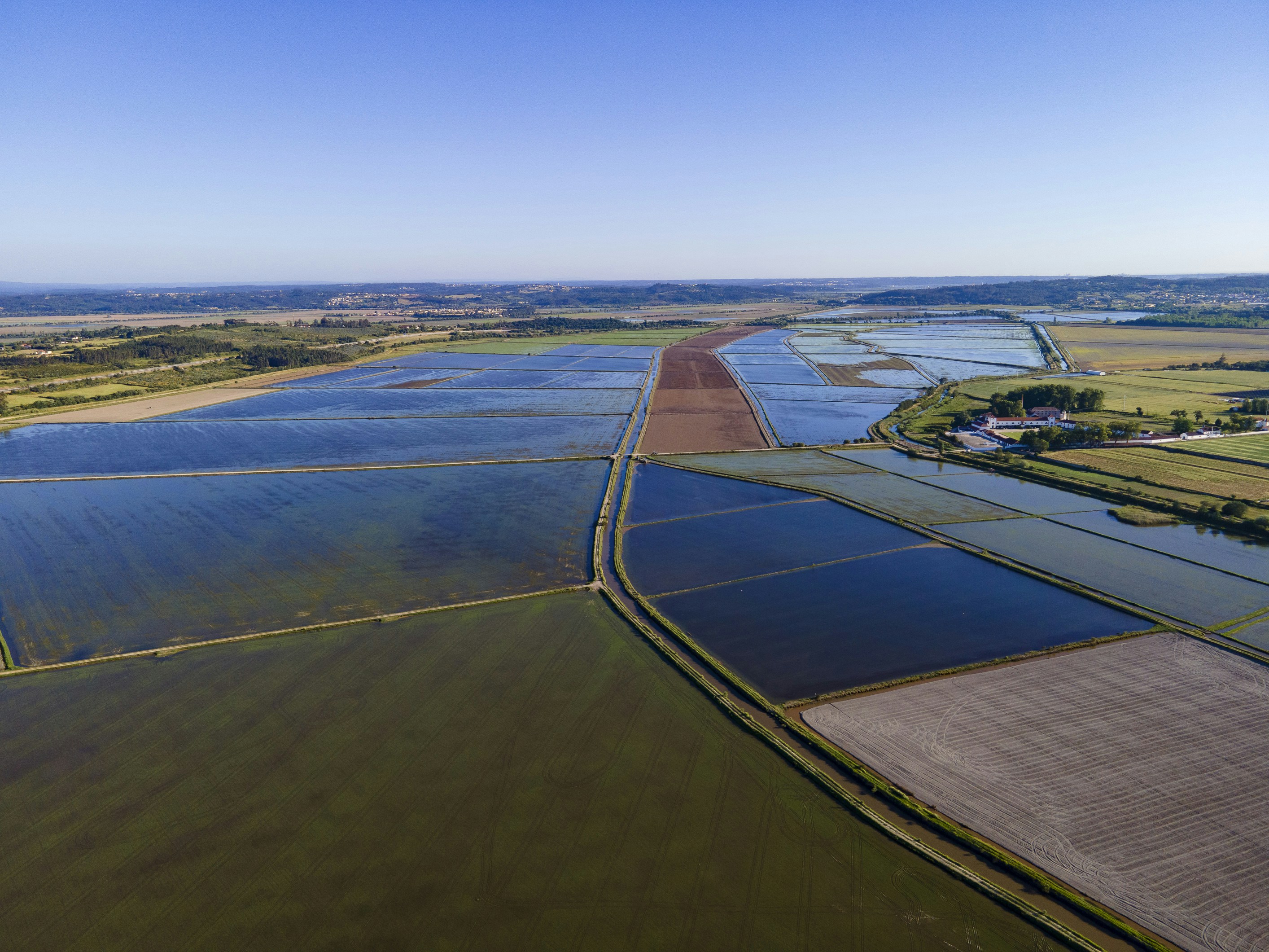 Geometric Harmony of Agricultural Landscapes