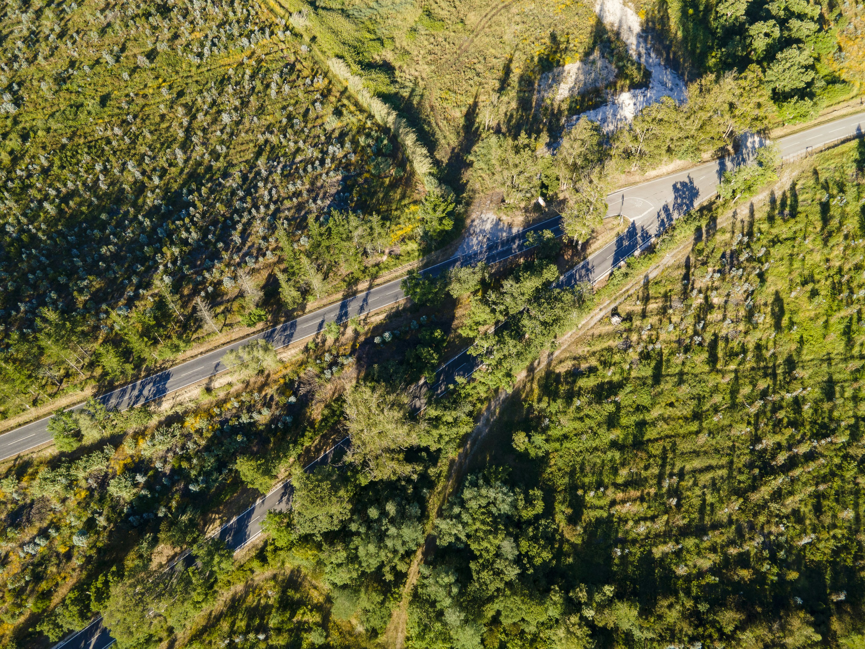 Aerial view of a winding road through green landscape