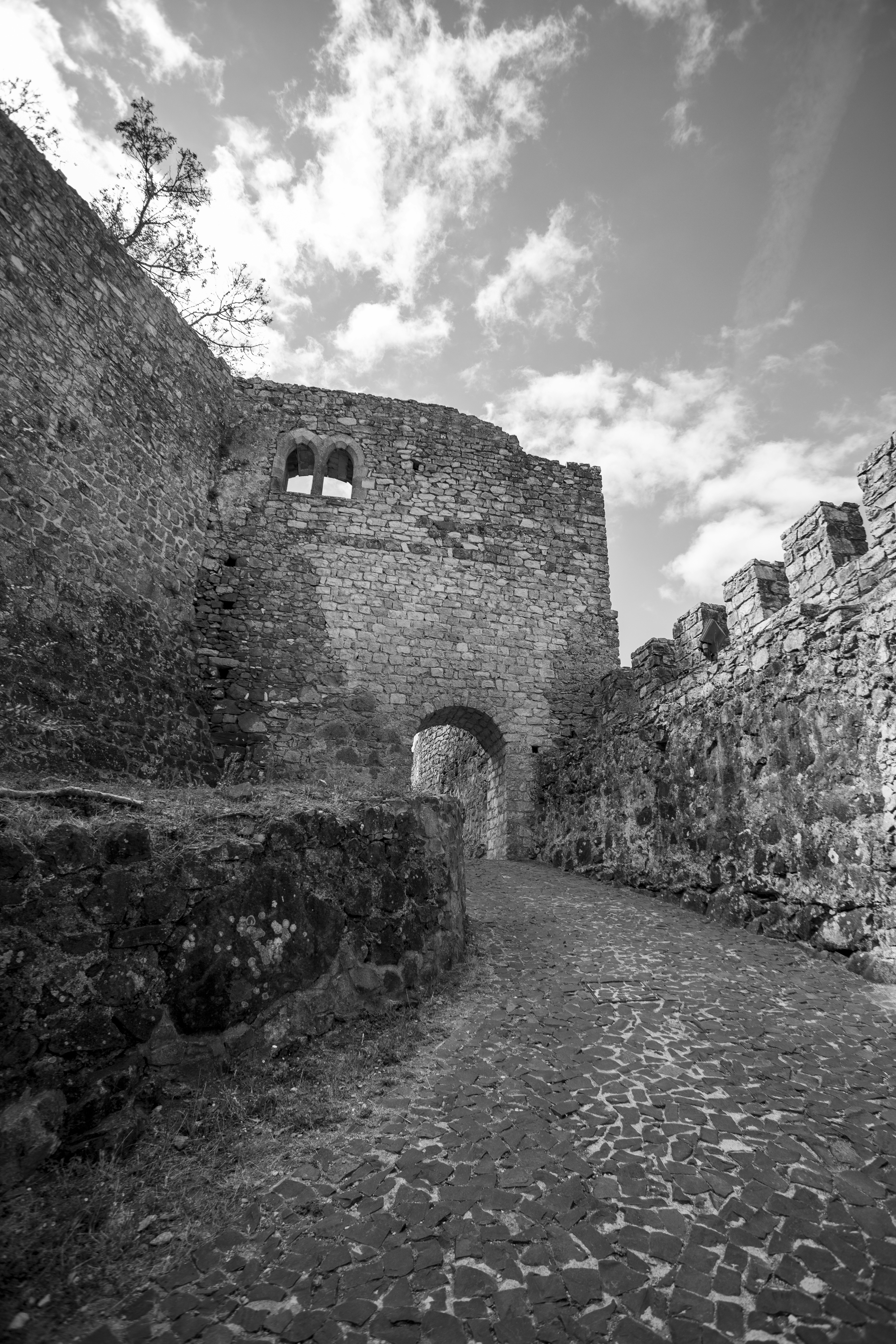 Echoes of Time: A Path Through Ancient Stone