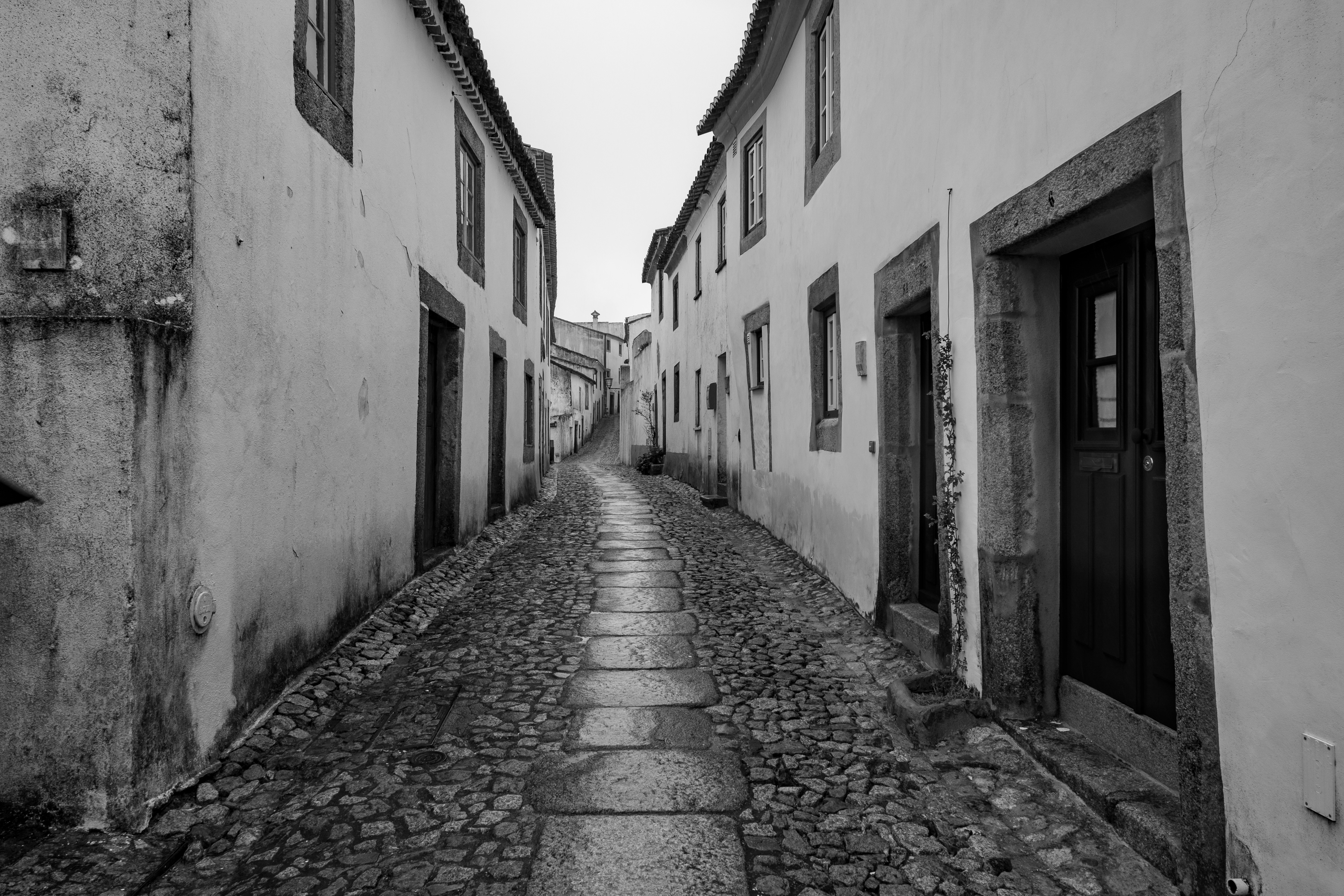 Whispers of the Cobblestone Alley