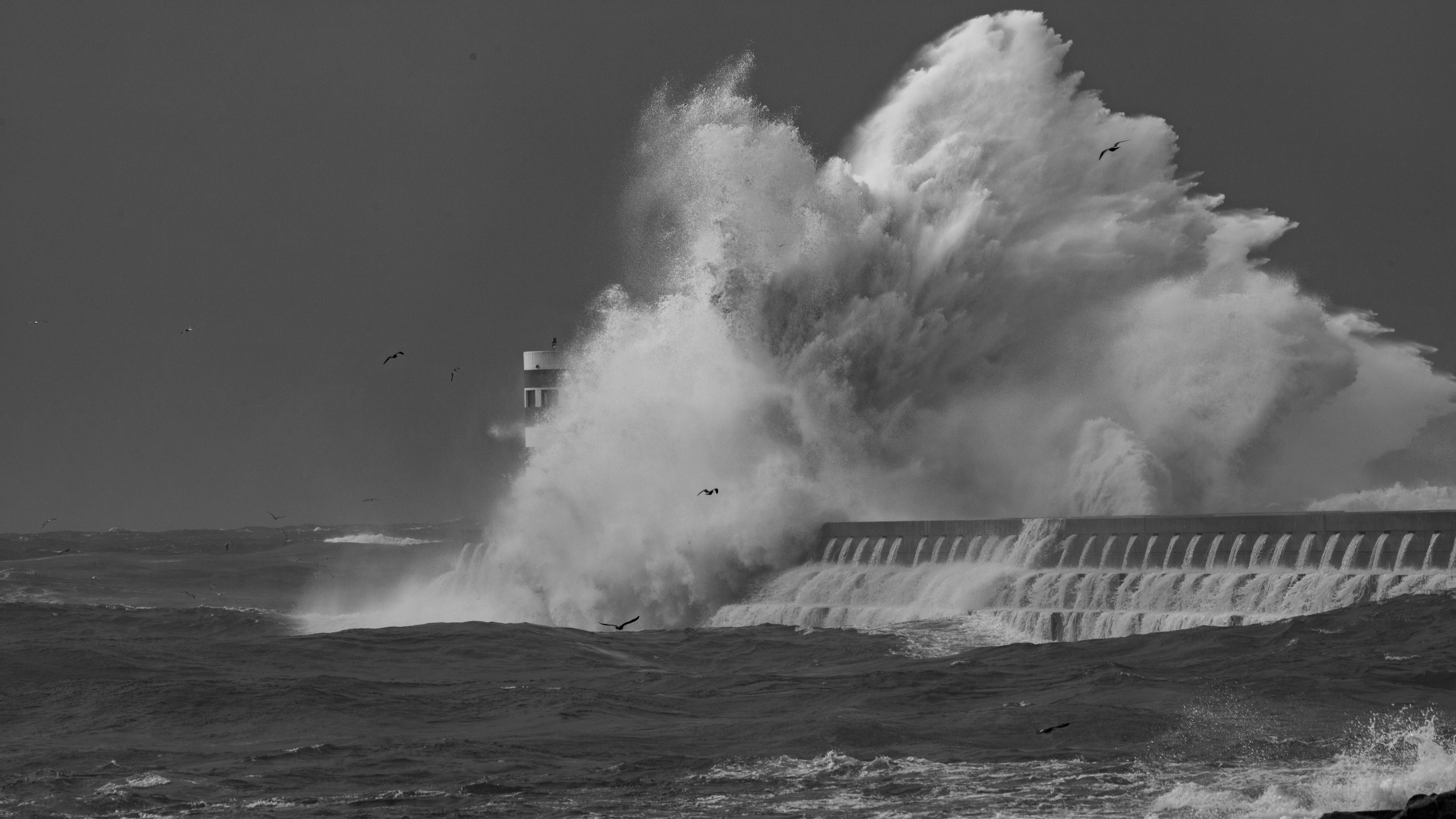 The Fury of Nature's Tide