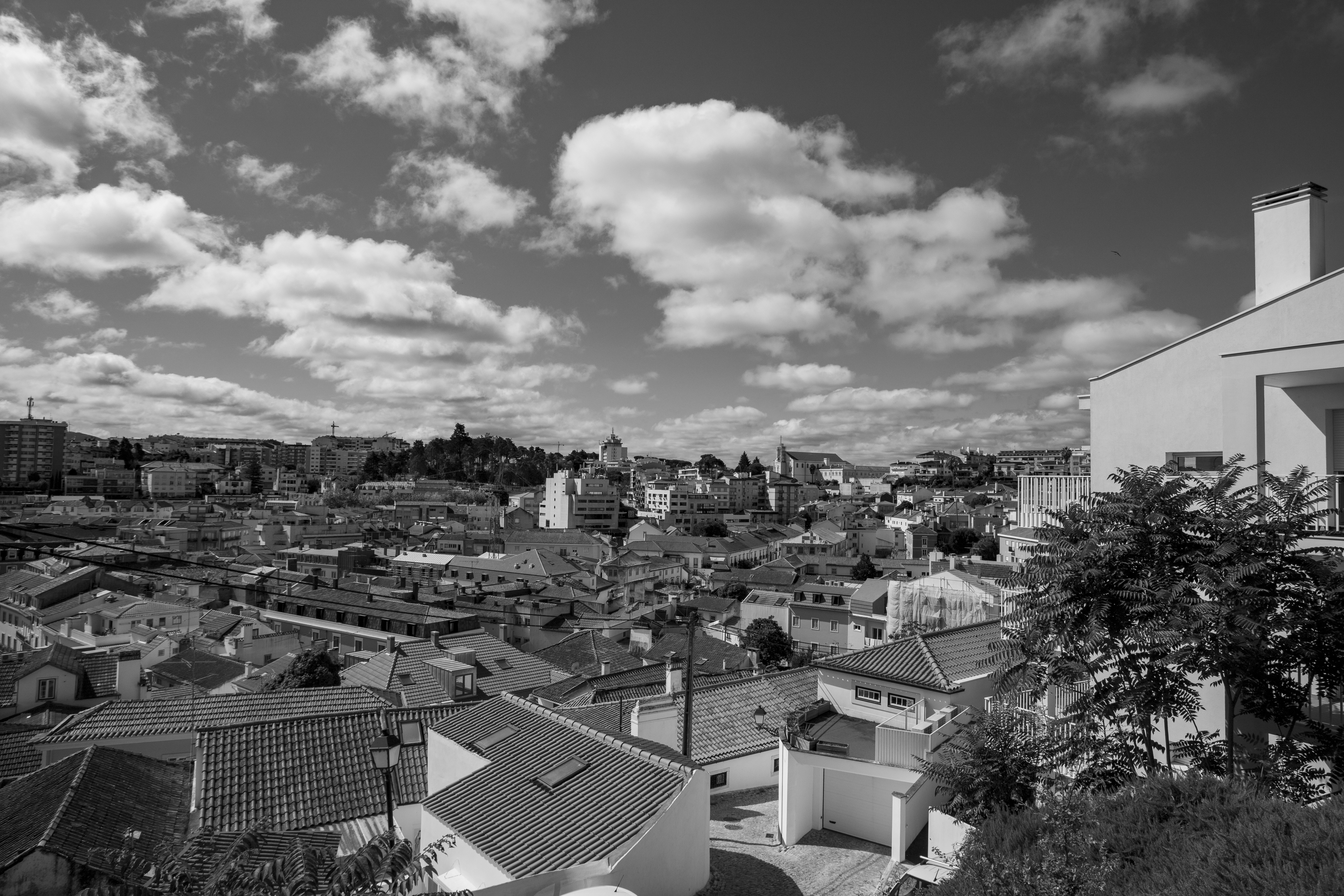 Urban Tapestry: A Monochrome Perspective
