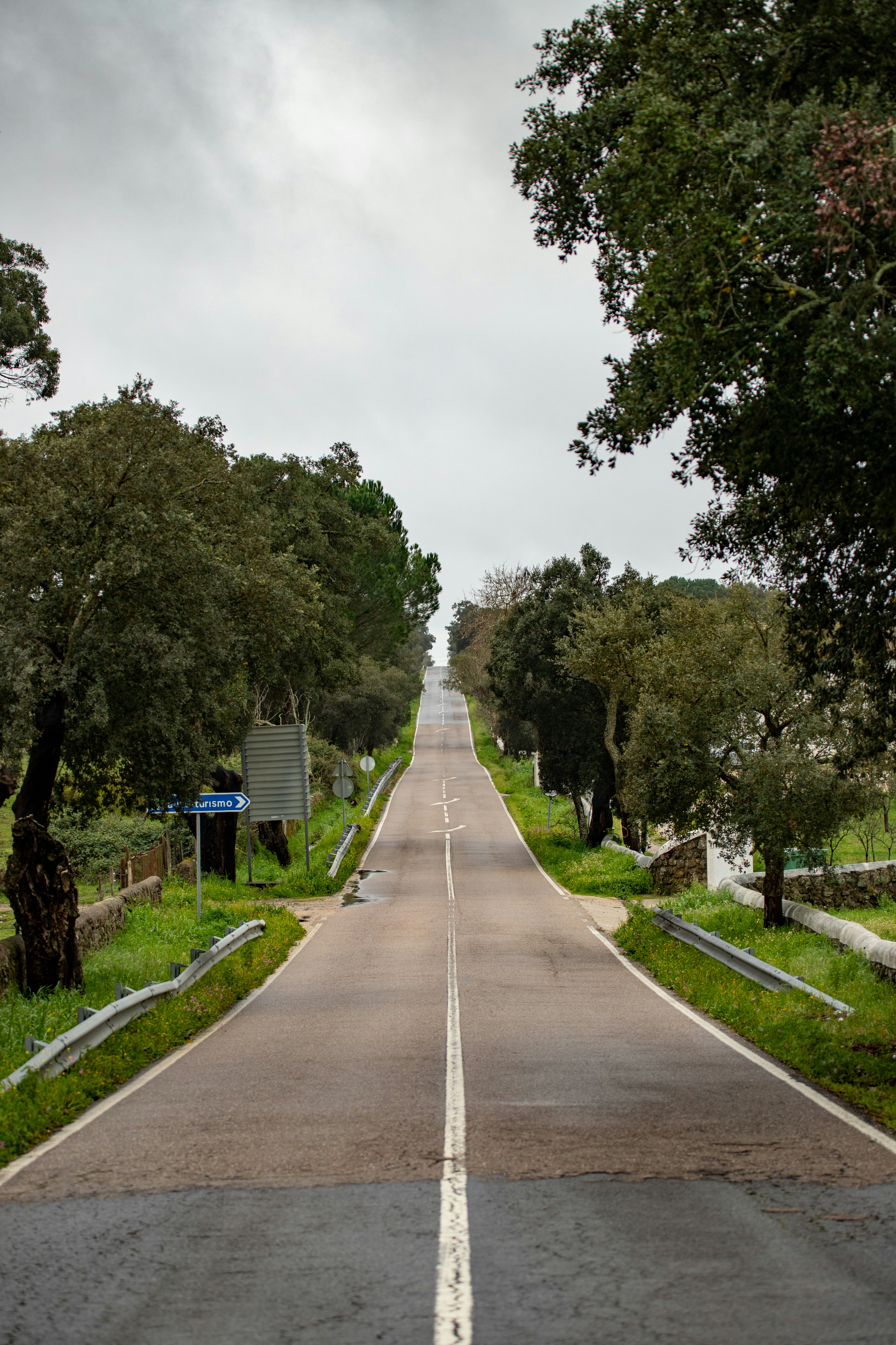 The Journey Ahead: A Road Less Traveled