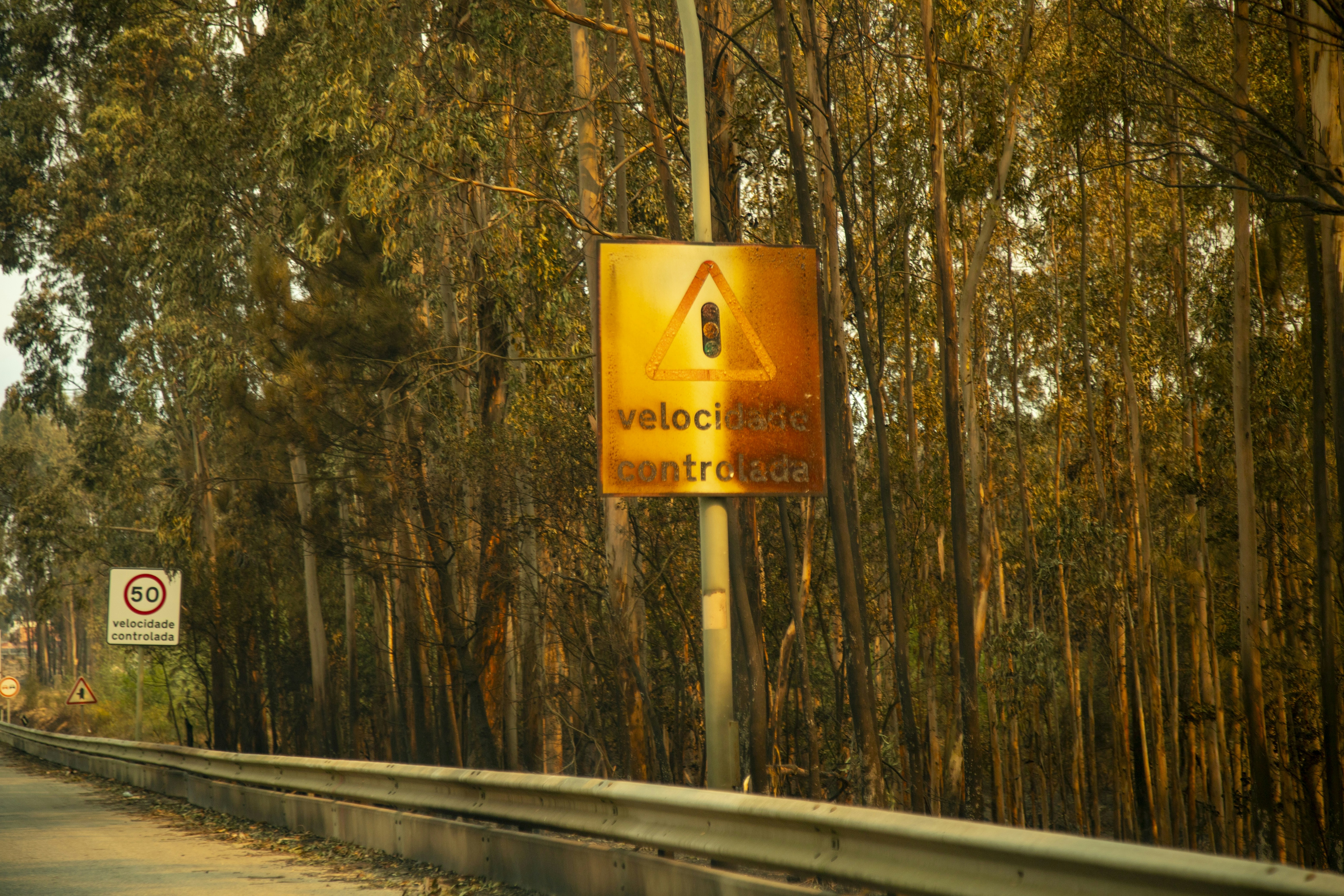 Warning Ahead: Speed Control in the Eucalyptus Grove