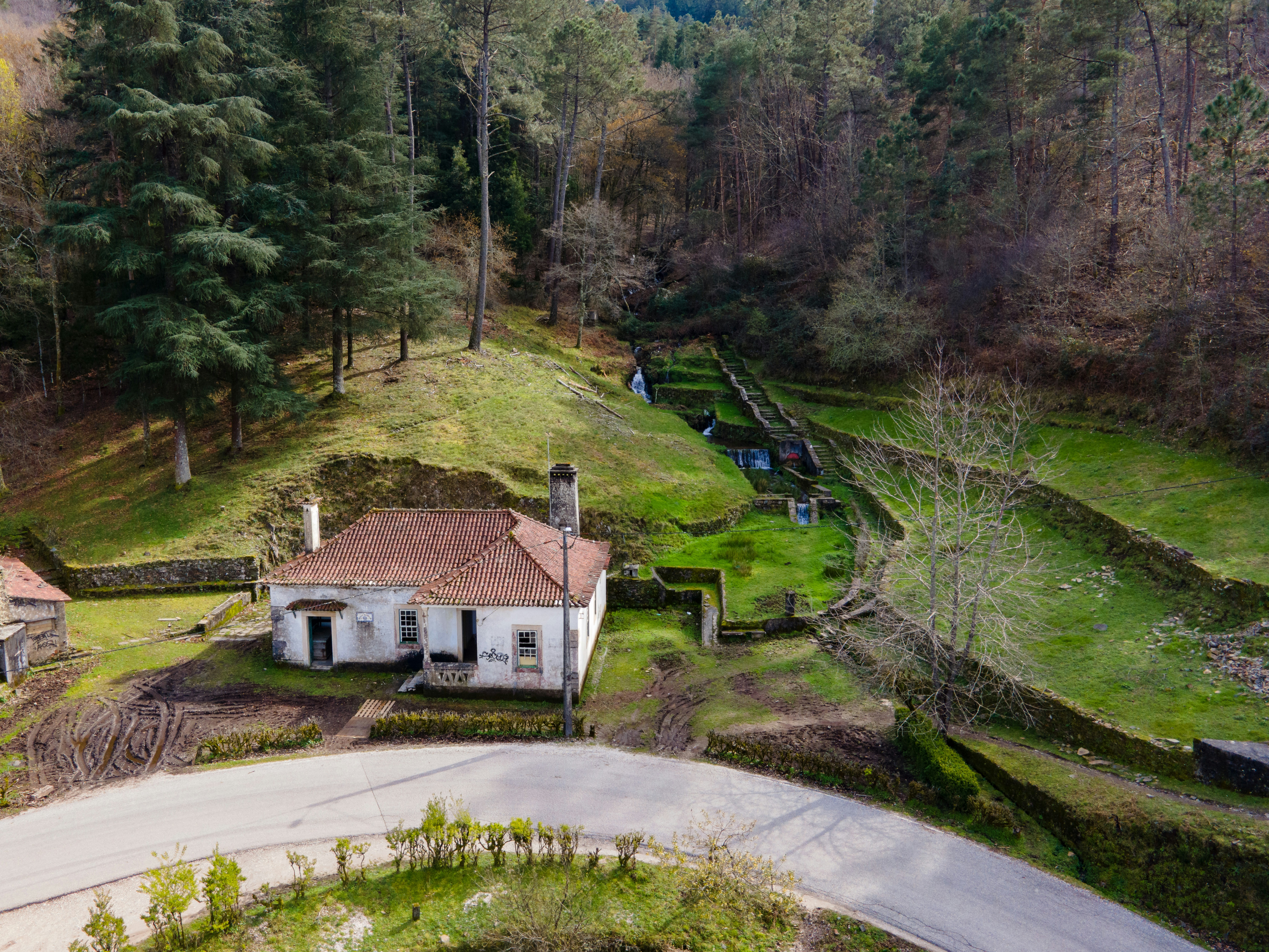 Whispers of History: The Abandoned Homestead