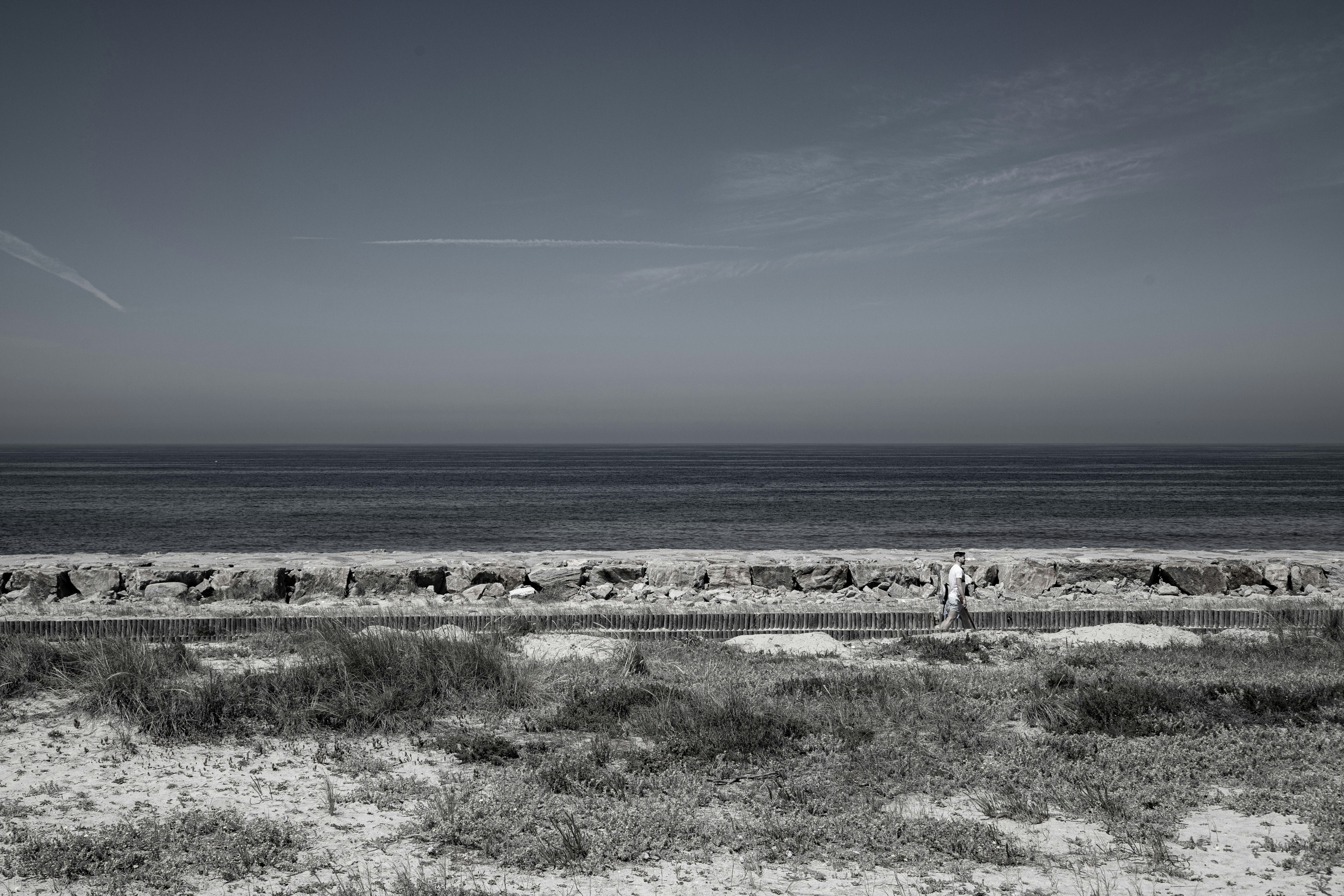 A Serene Stroll Along the Shoreline