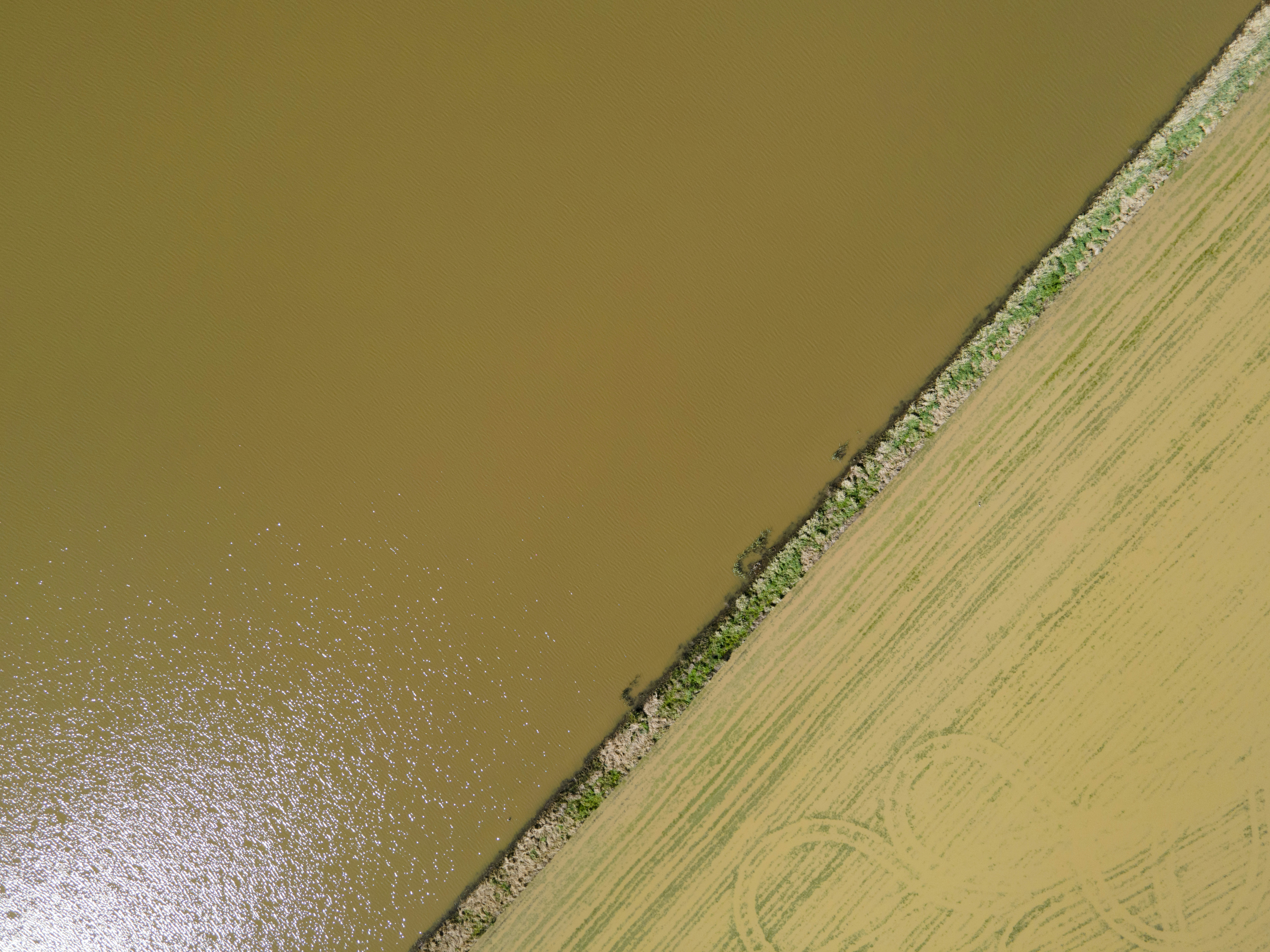 Harmony of Land and Water