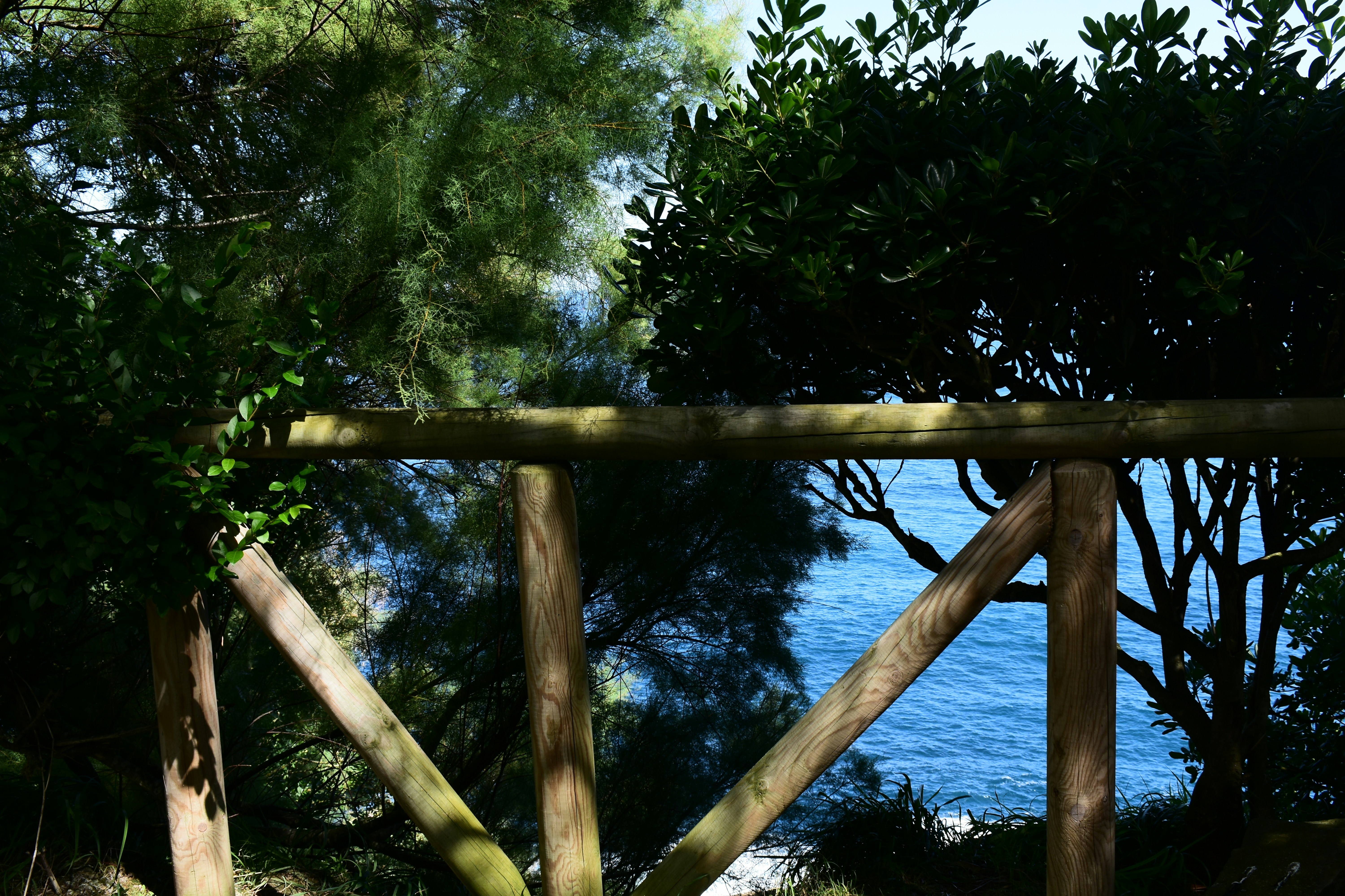 Wooden fence framing a tranquil view of the ocean, surrounded by lush greenery. A serene moment captured in nature.
