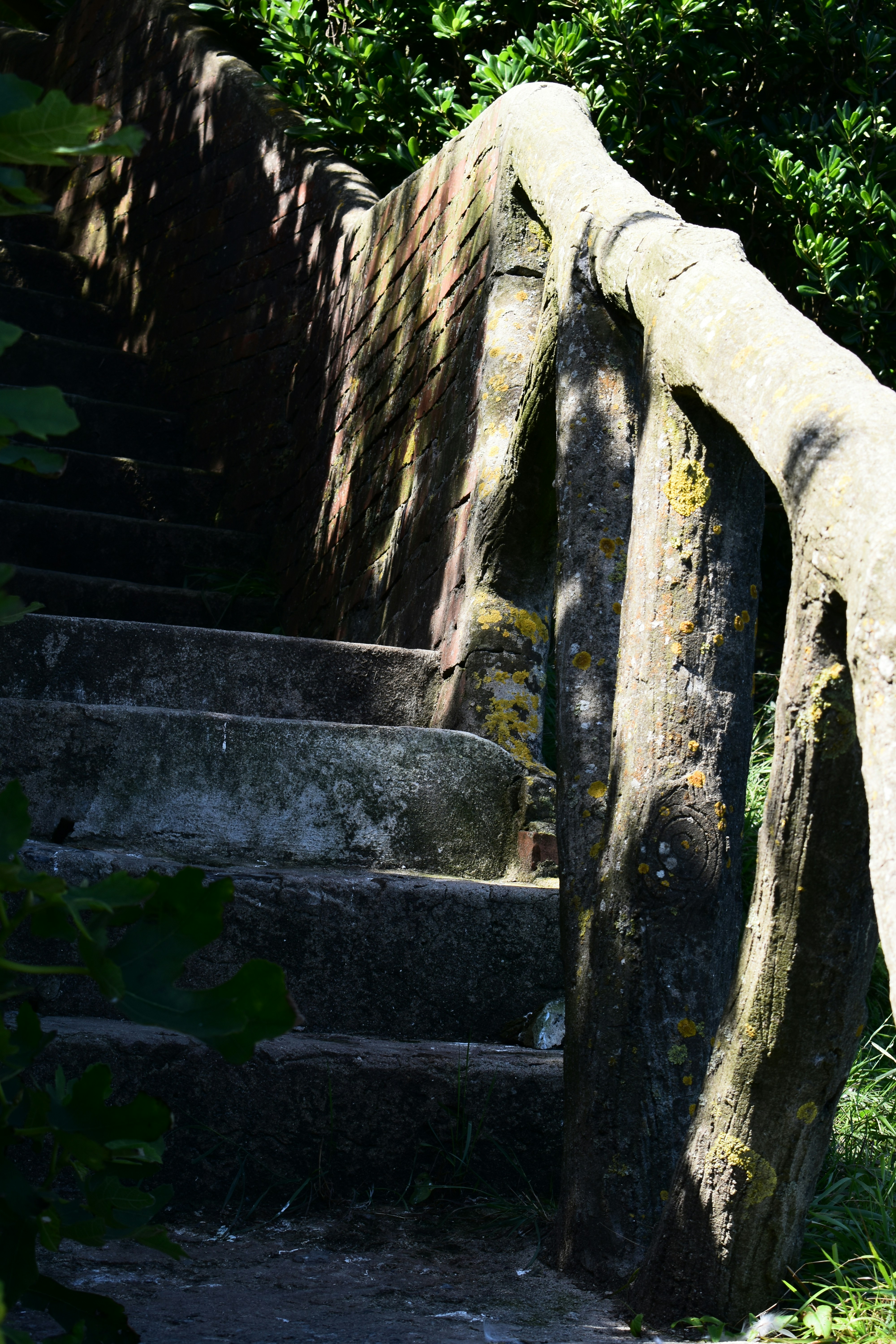 Whispers of Time: The Weathered Pathway