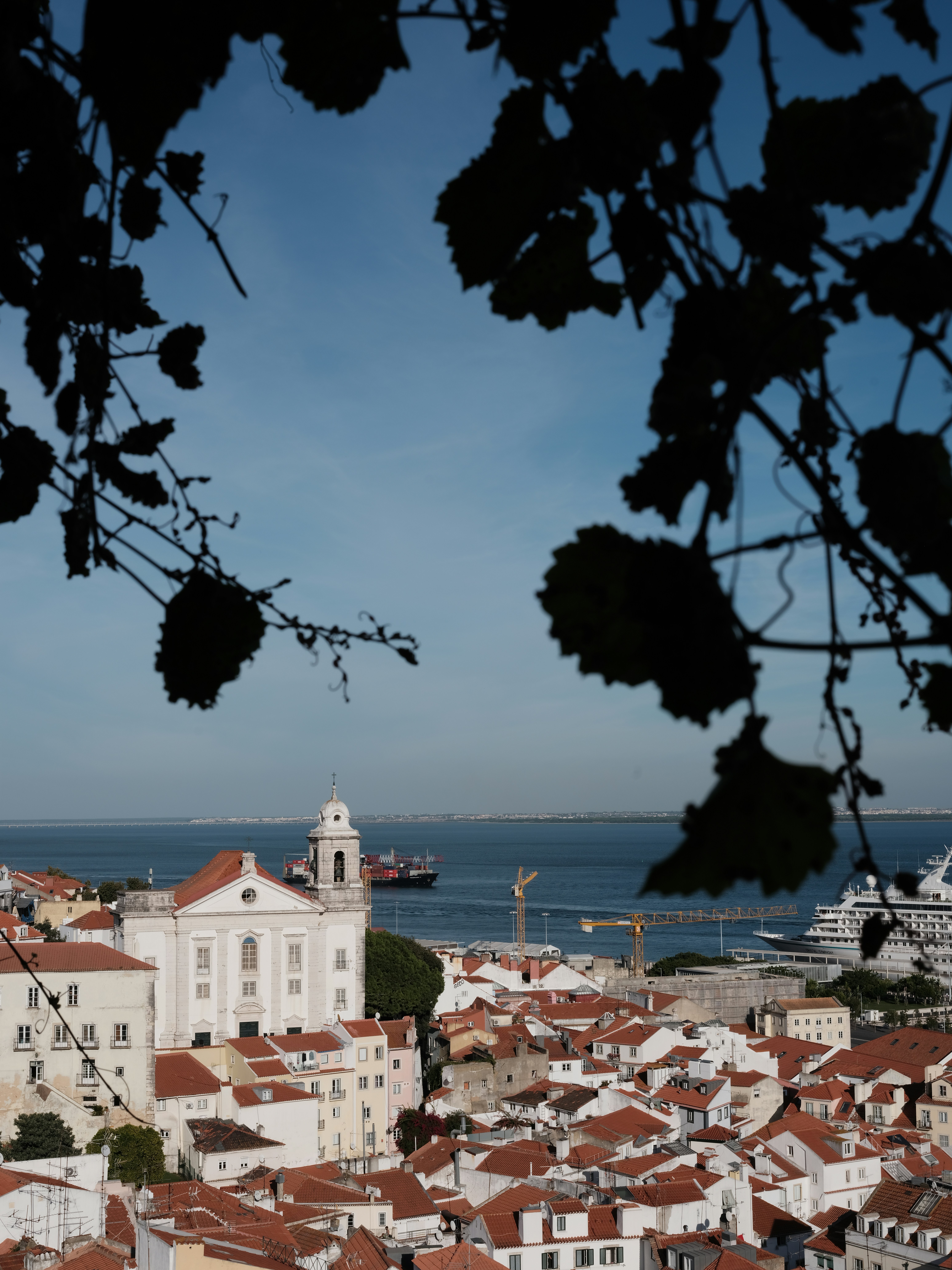 I realised I had been mapping people the way others map cities, tracing their borders, measuring the distance between what was said and what was meant. I kept a list of gestures, of words that stopped halfway, of glances that lingered too long. It was my way of keeping order, of believing that if I could decipher the pattern, I might be spared. | Cityscape with white church and red rooftops by the water.