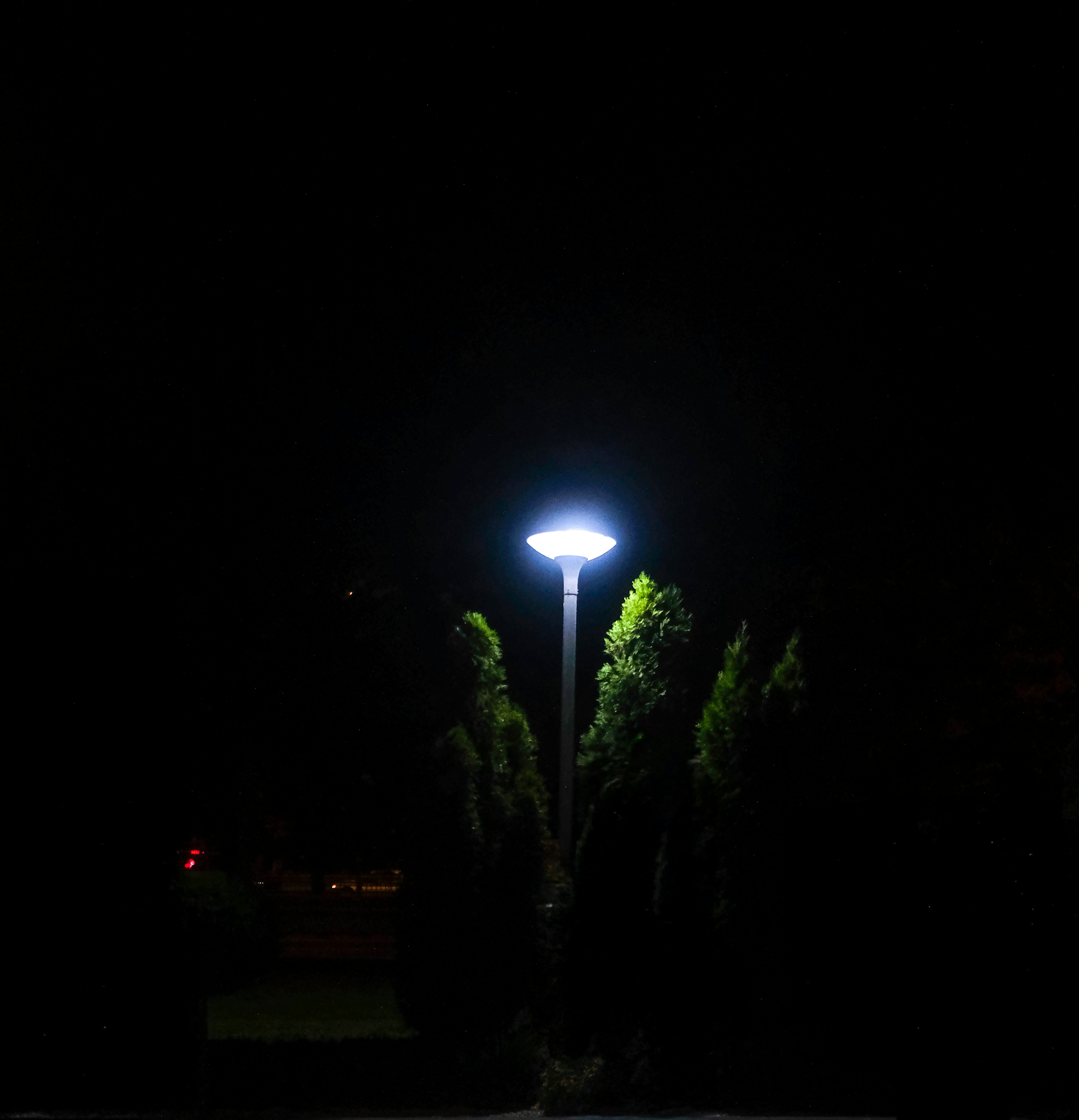 Illuminated Solitude: A Beacon in the Night