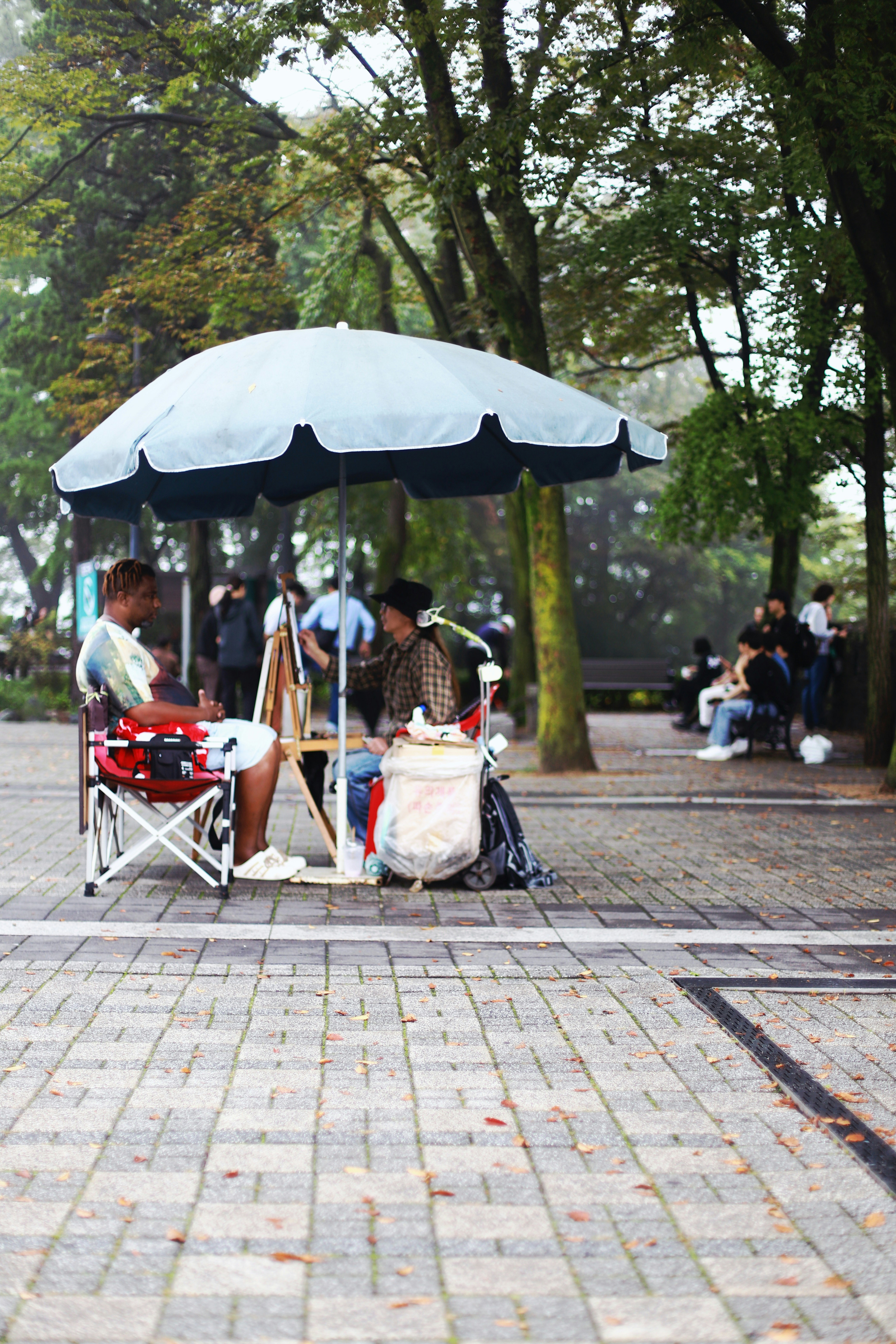 Artistry in the Park: A Creative Encounter
