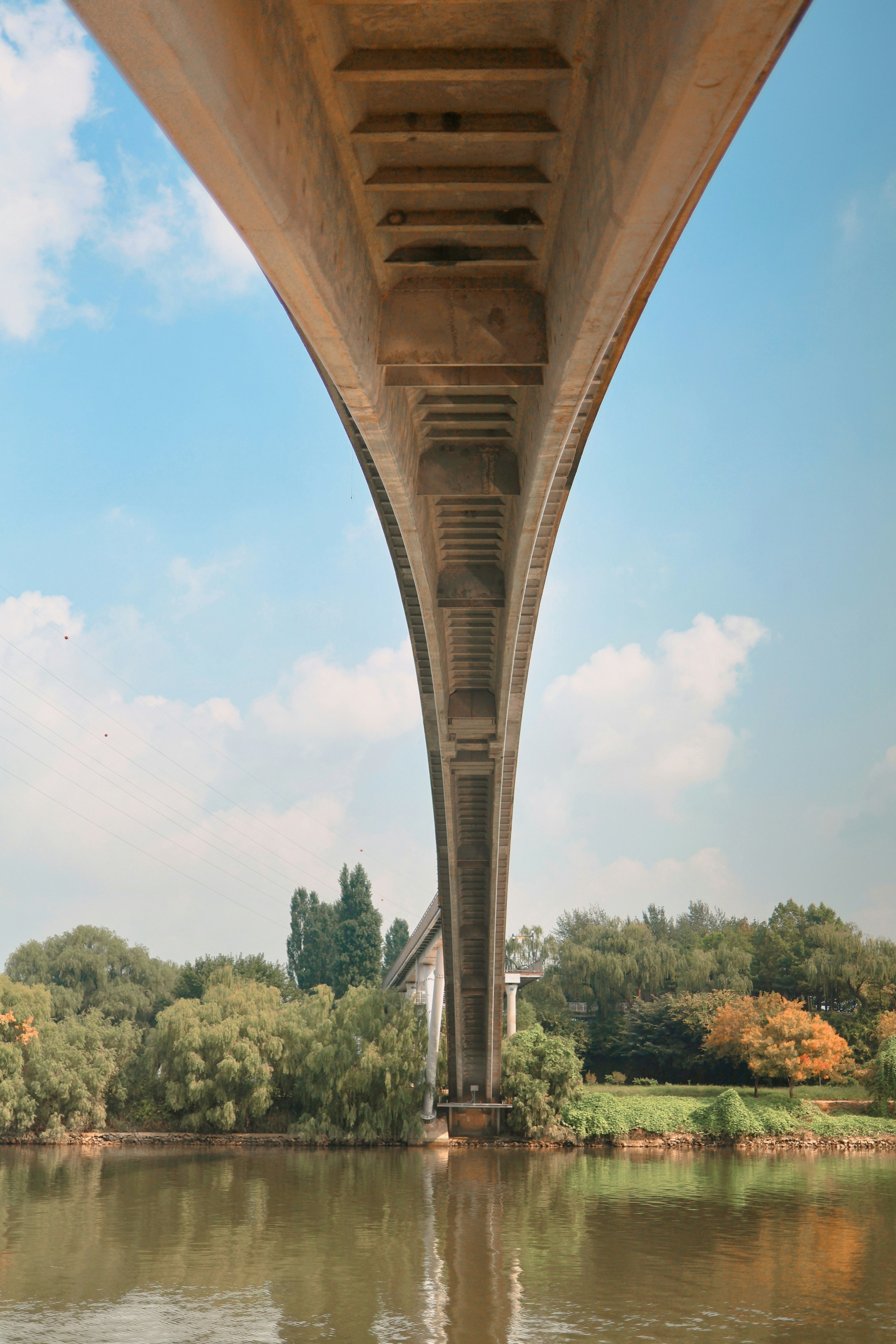 The Architectural Arc: A Bridge Beneath the Sky