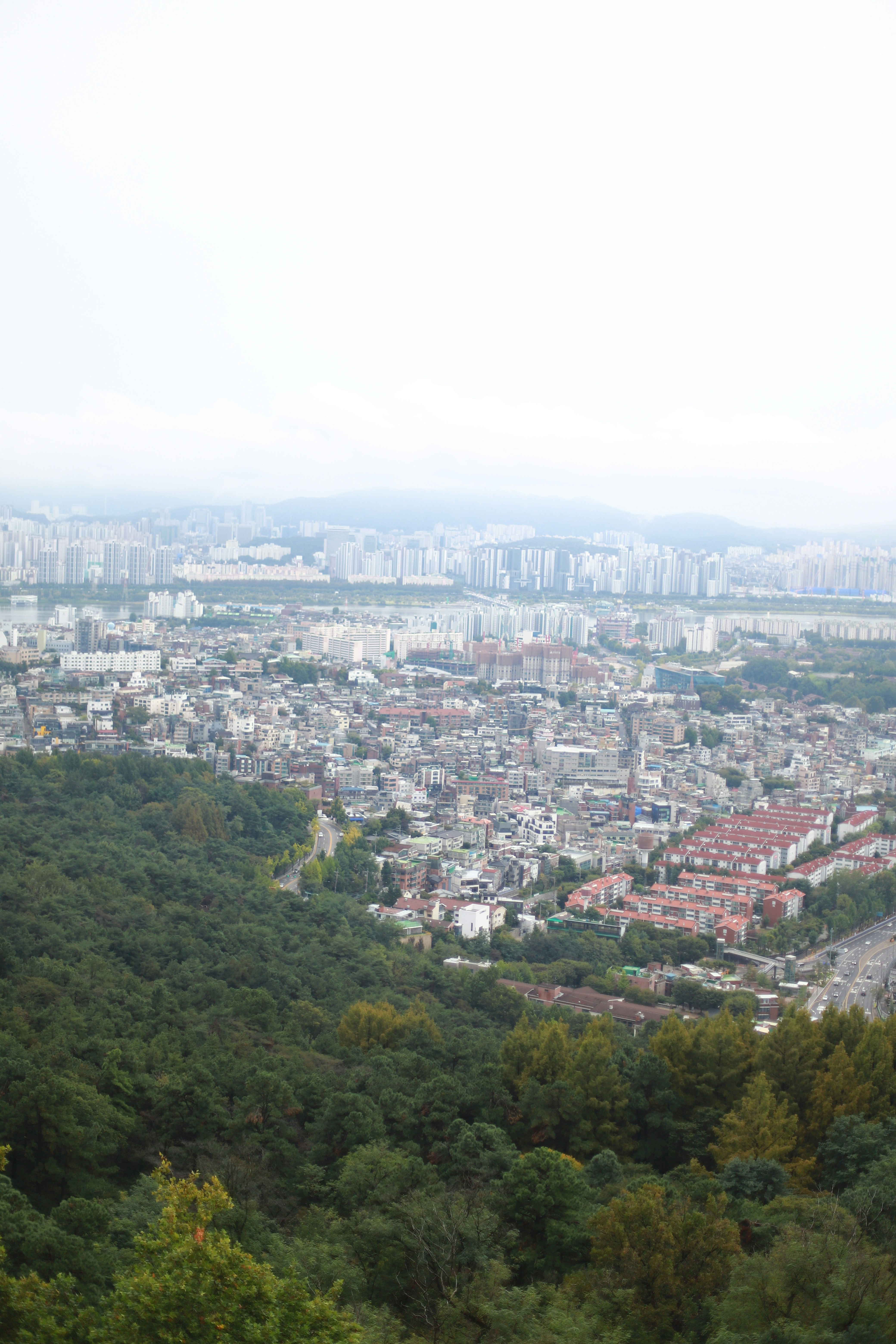 Urban Tapestry: Nature Meets Cityscape