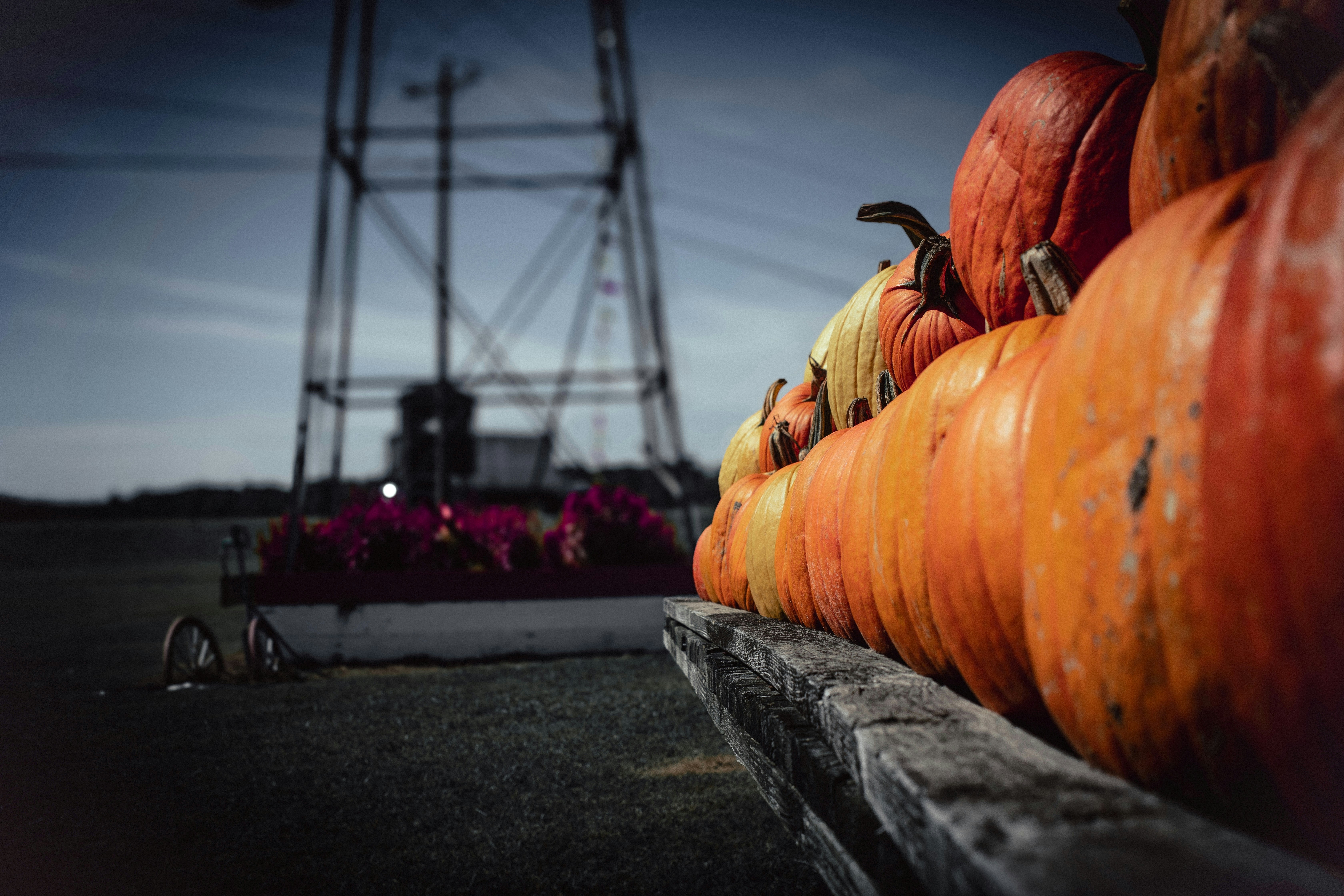 Harvest Harmony: A Rustic Pumpkin Display