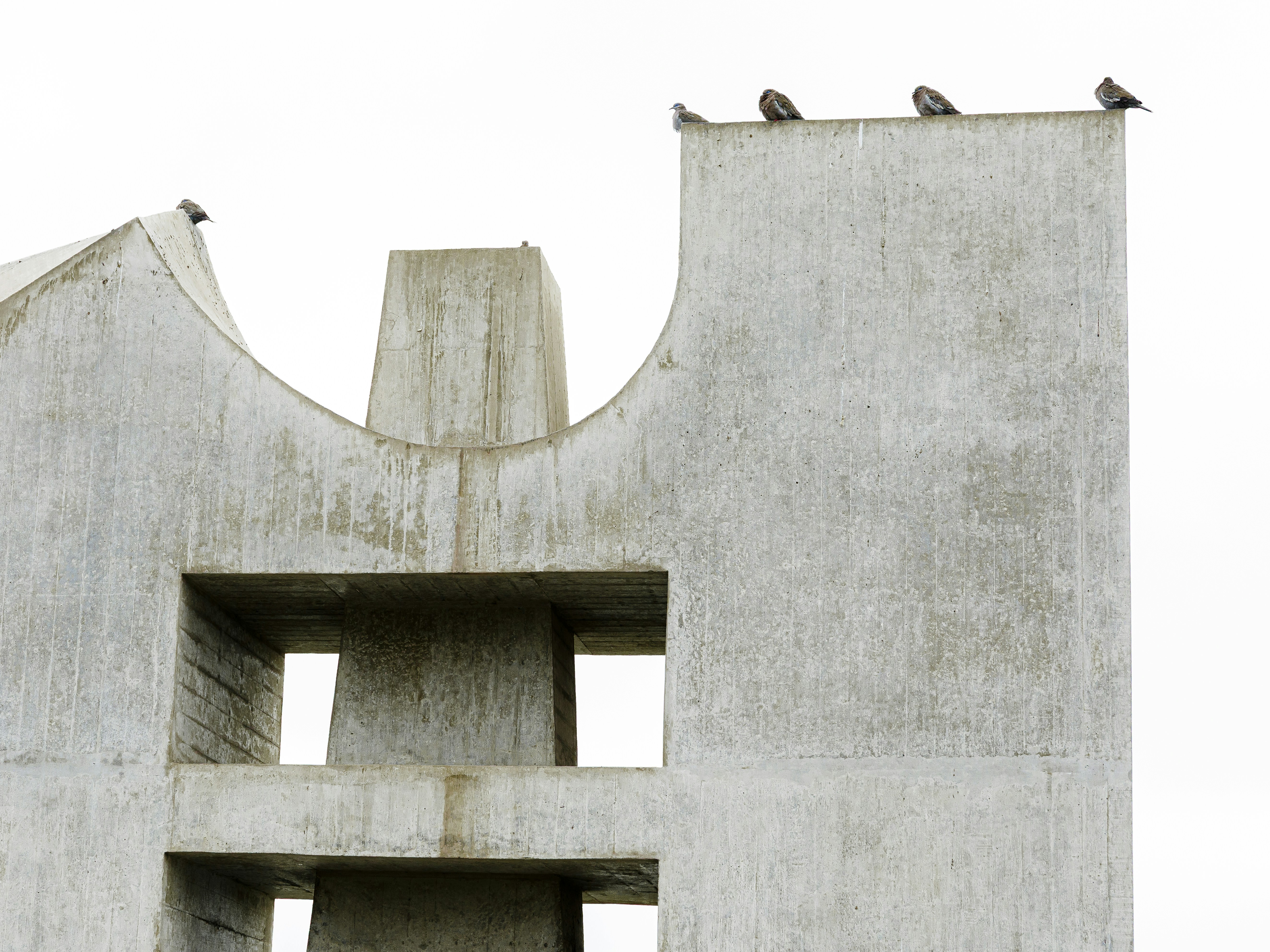 Photo by Felicia Montenegro with Canon EOS 5D Mark IV