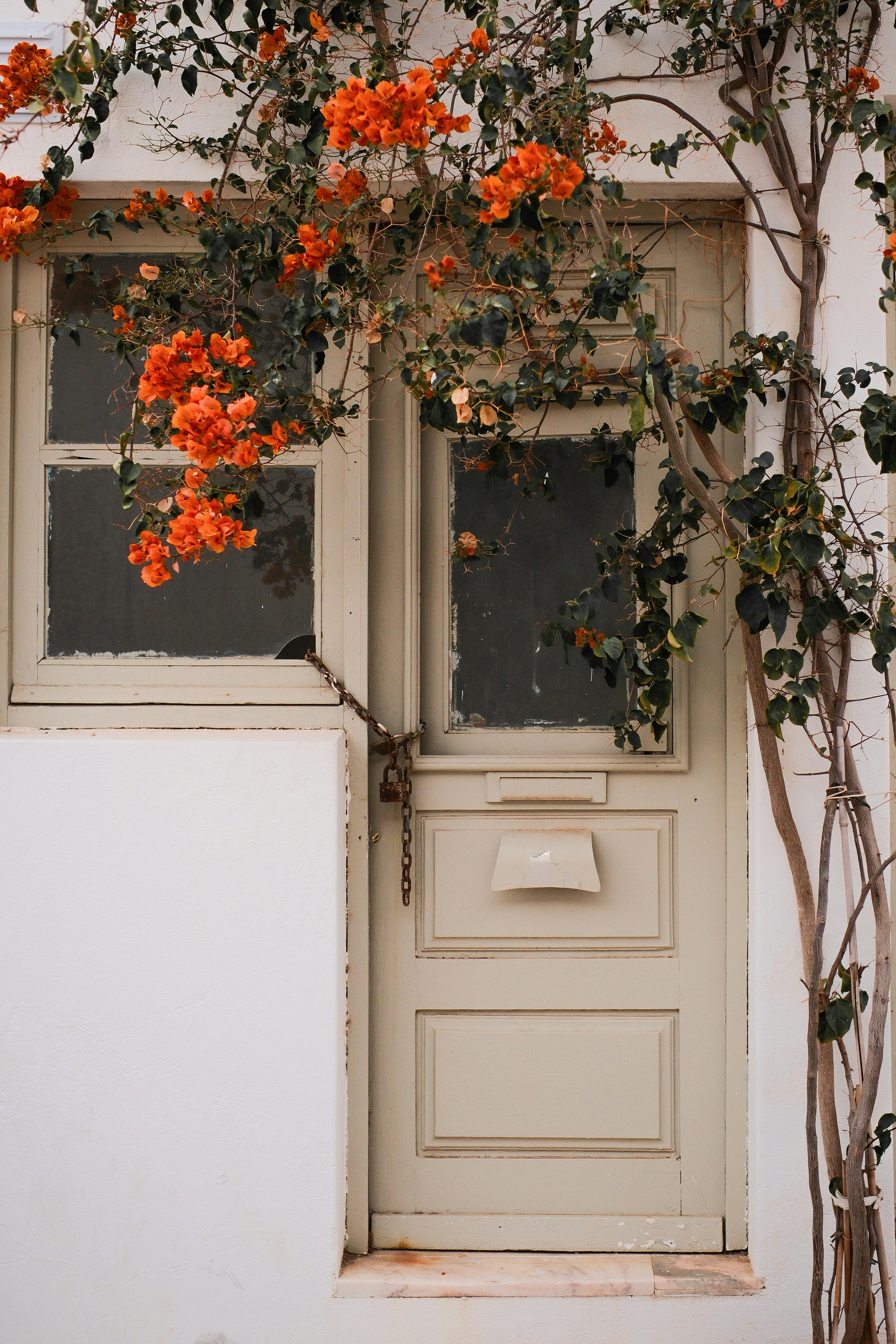 Door with orange flowers and green leaves photo – Free Travel Image on ...