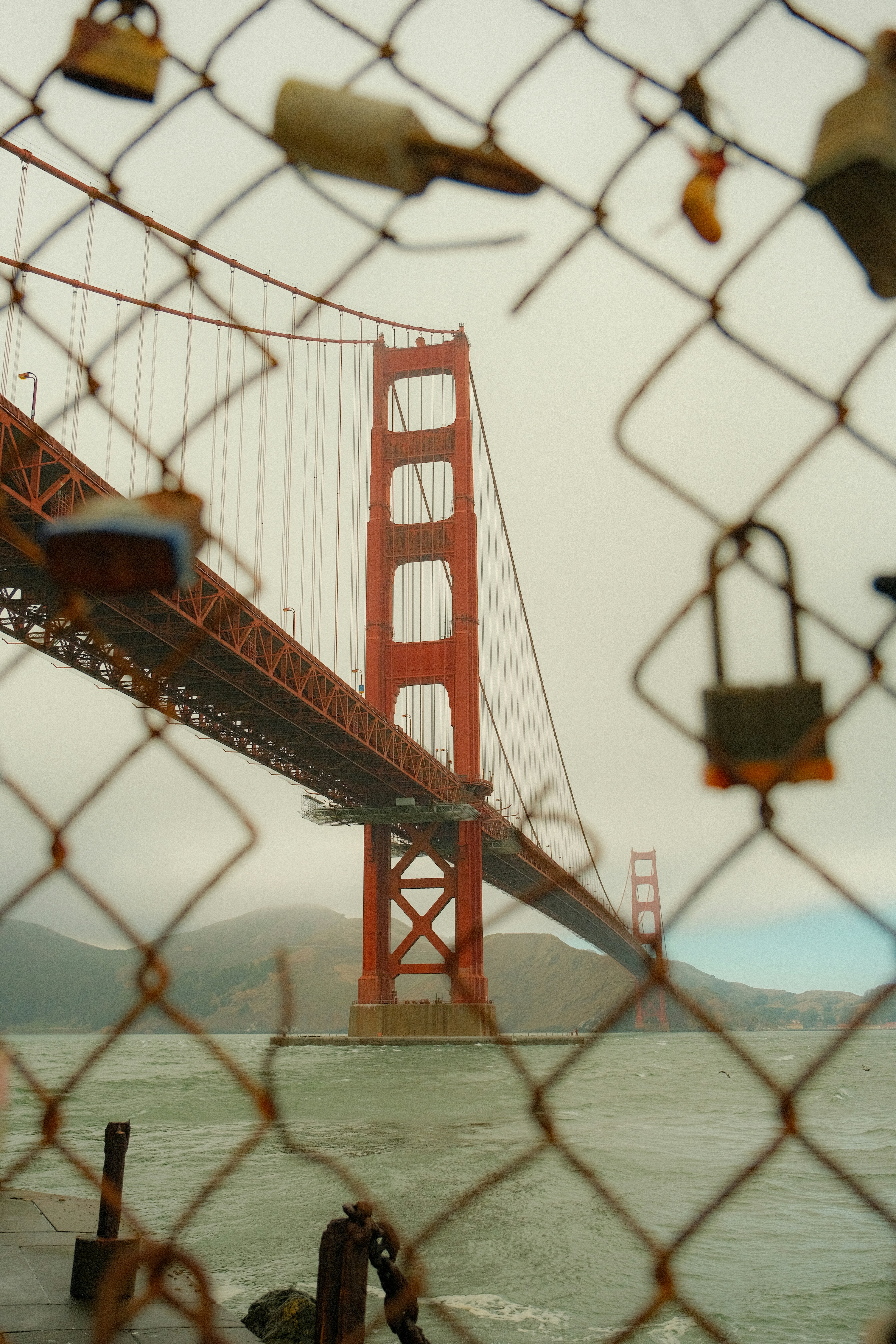 Bridging Hearts: The Golden Gate Through Time