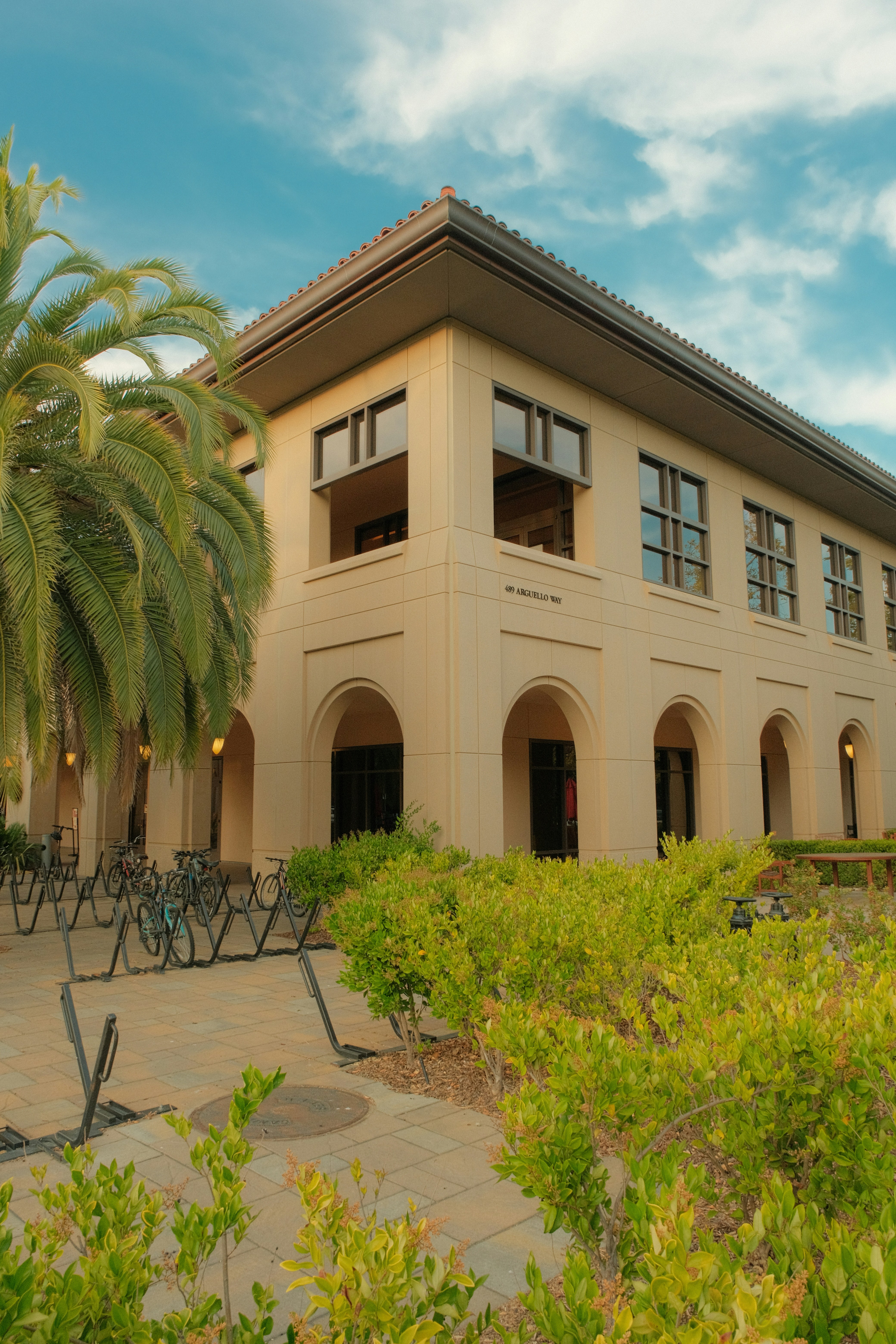 Modern building framed by lush greenery and palm trees, showcasing a blend of architecture and nature. The scene captures the essence of a vibrant campus environment.