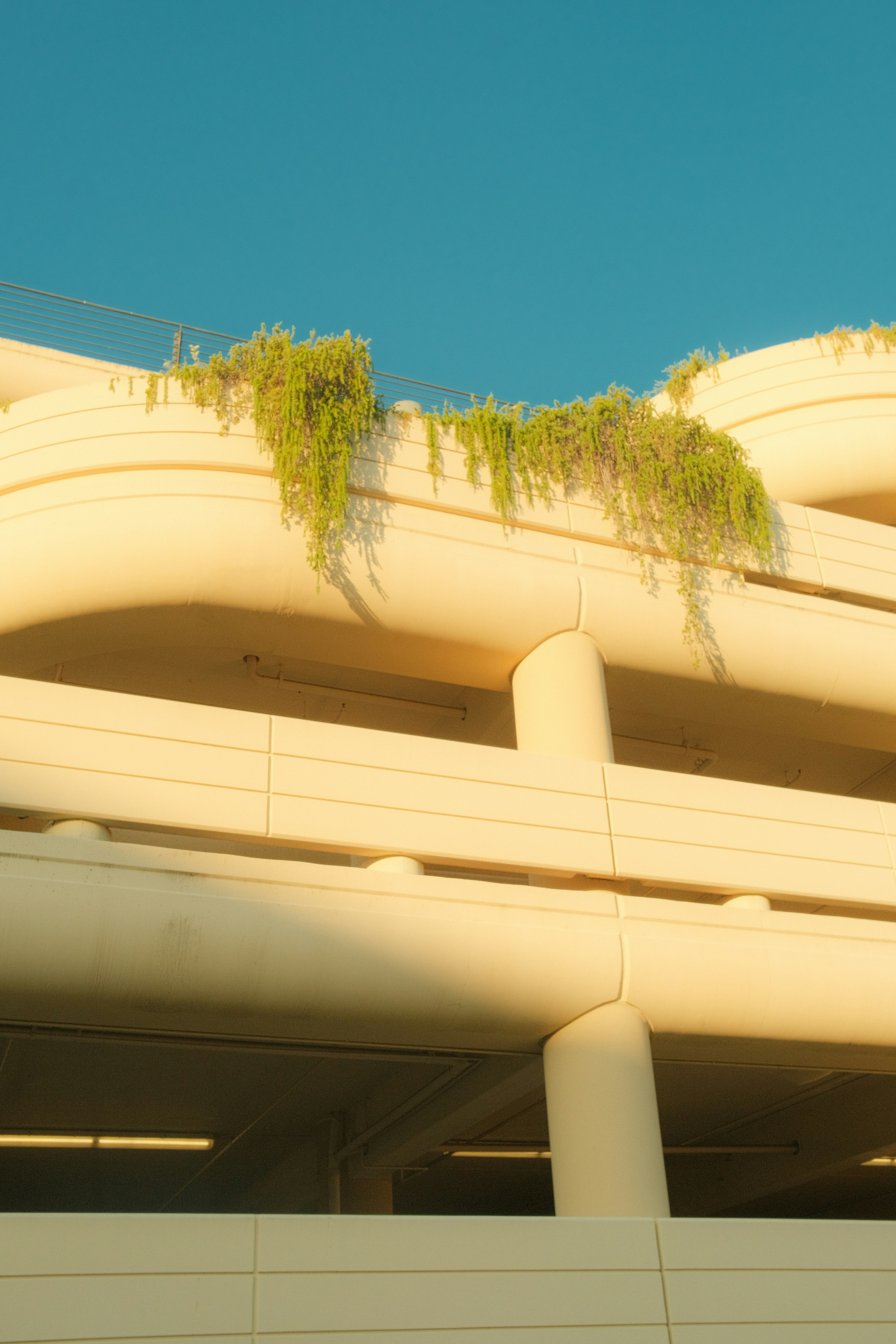 Urban Oasis: Nature Meets Architecture