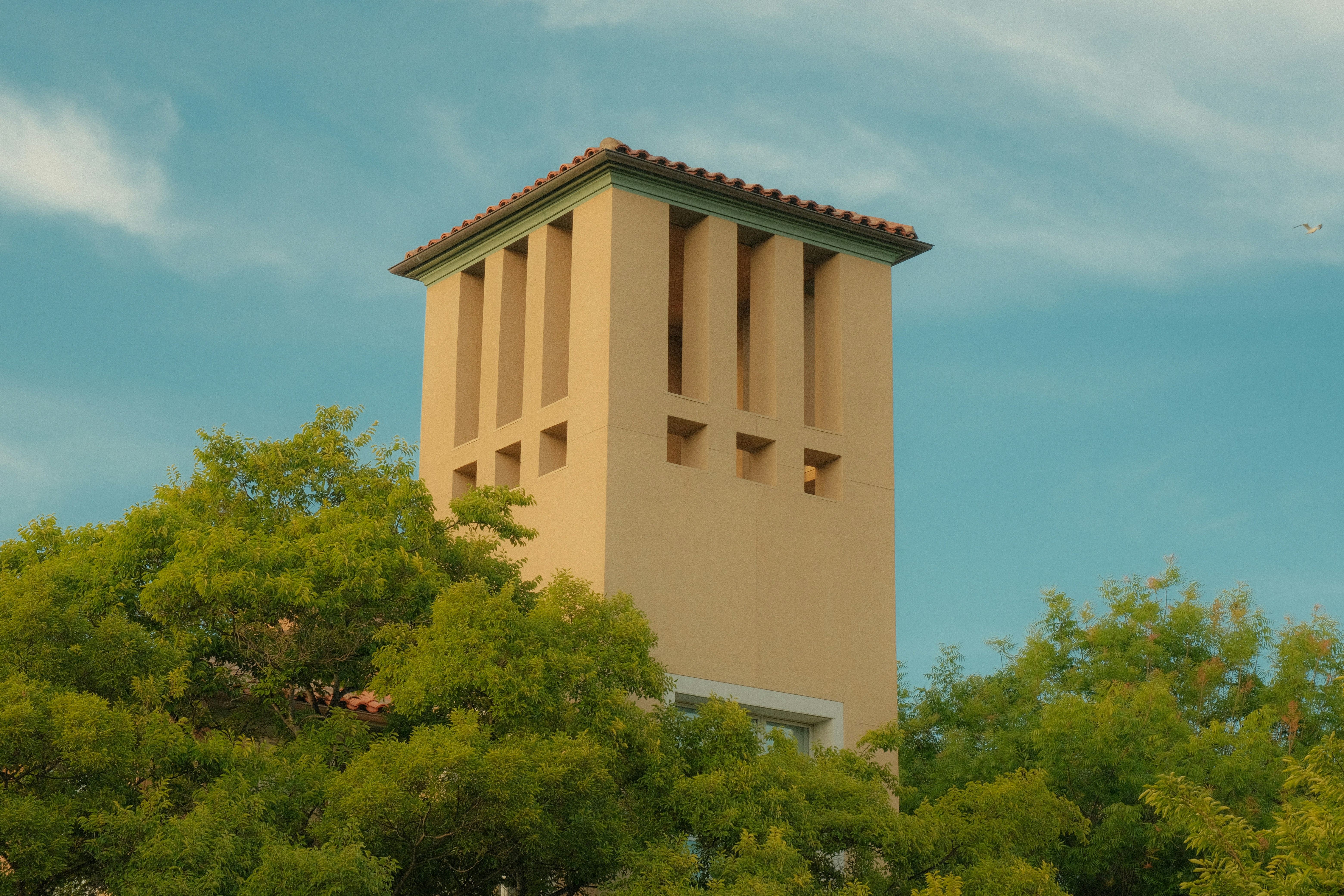 A tall bell tower rises above green trees.