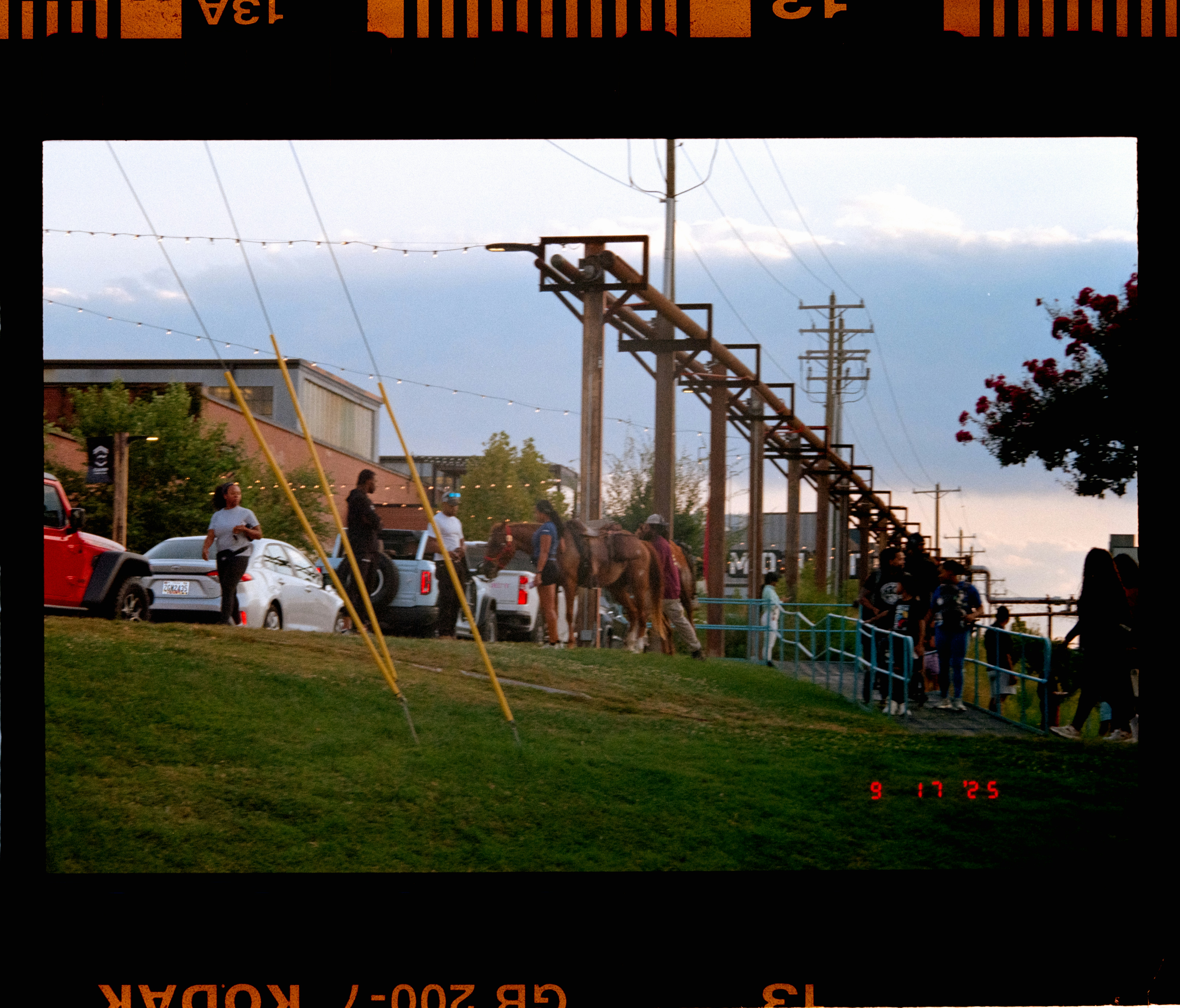 Horses at the Park Rail: Dusk Scenes of a Casual Crowd